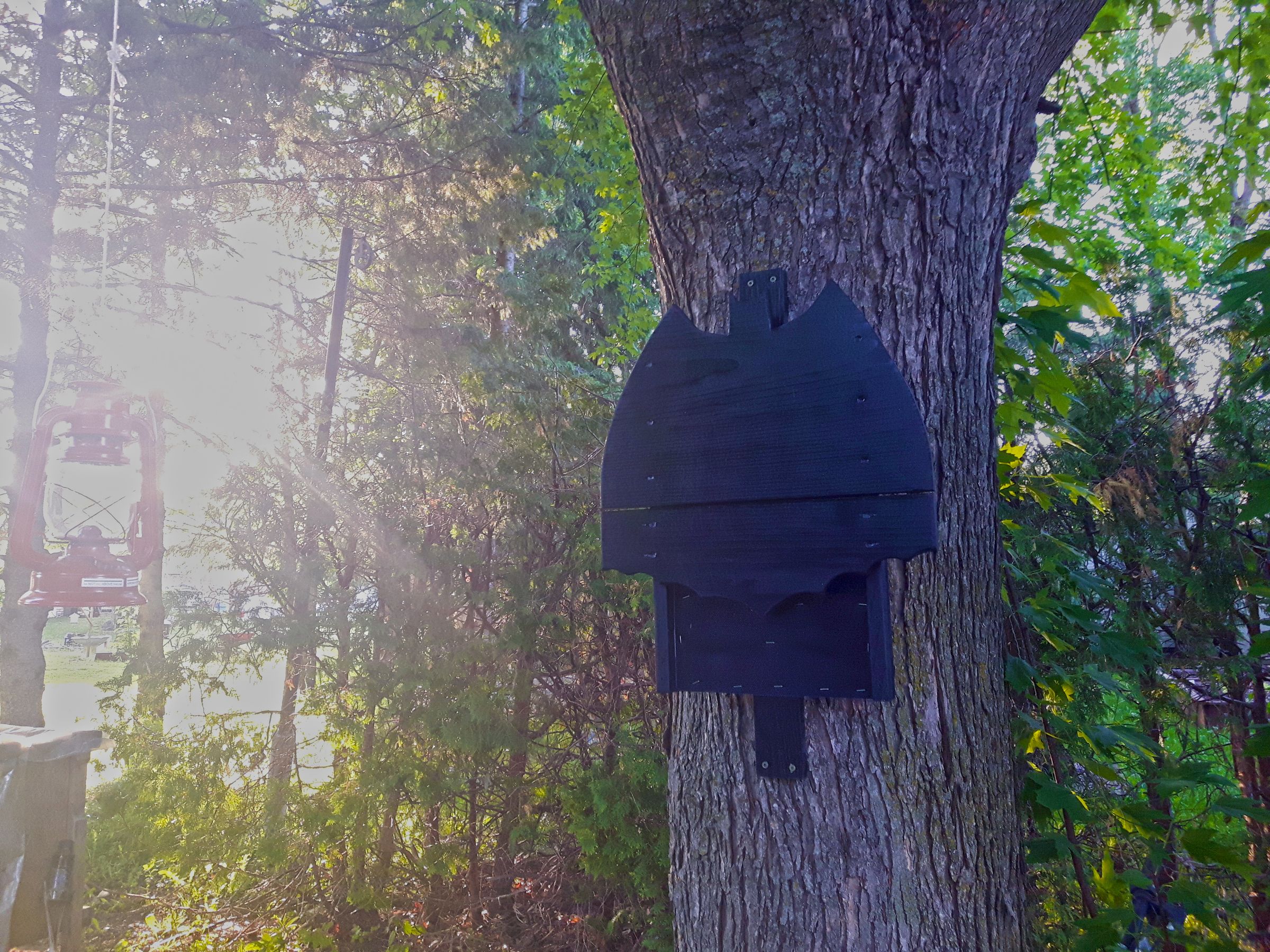 Batman Logo Bat Box House : 10 Steps (with Pictures) - Instructables