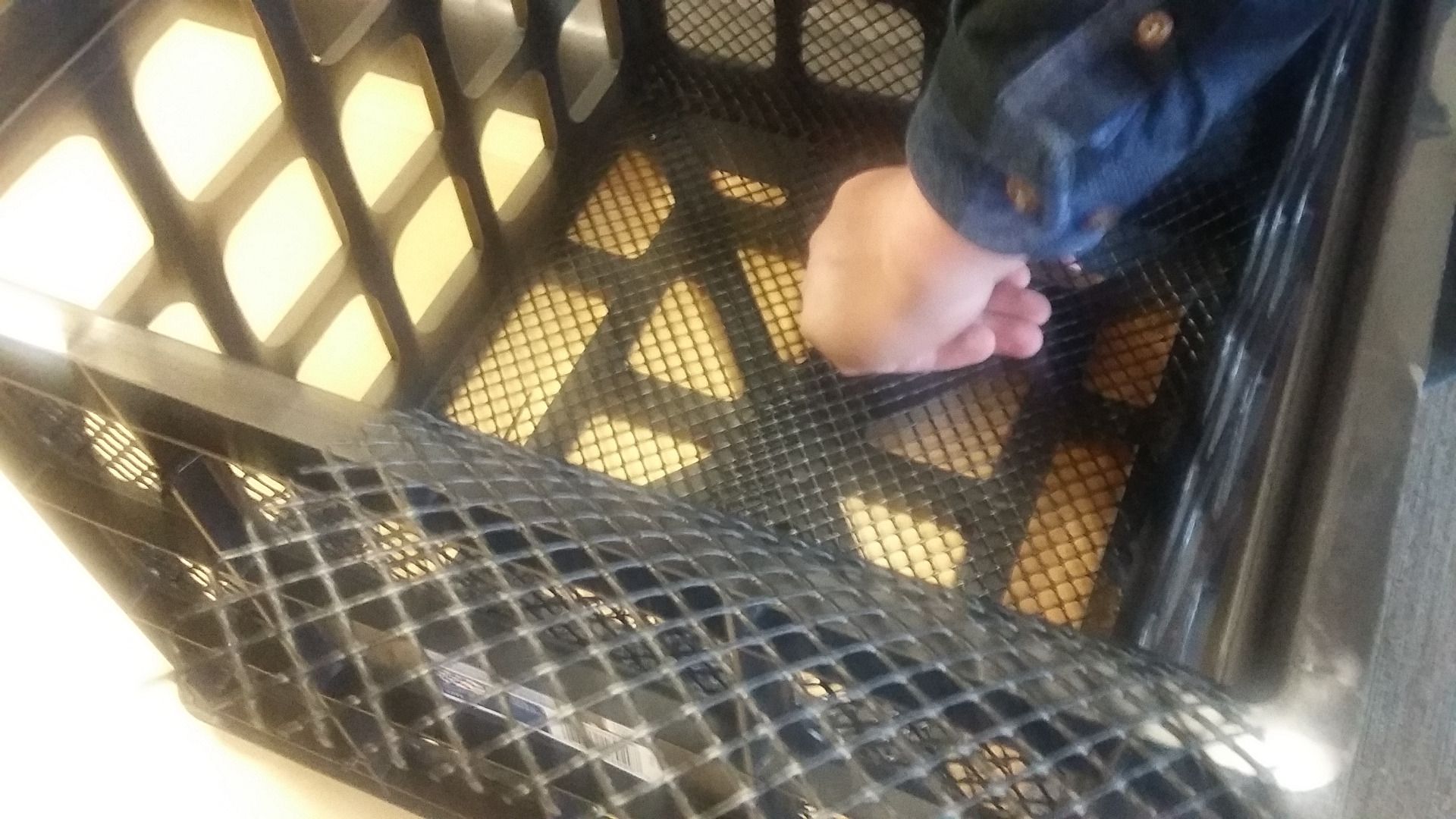 Milk Crate Live Trap : 9 Steps - Instructables