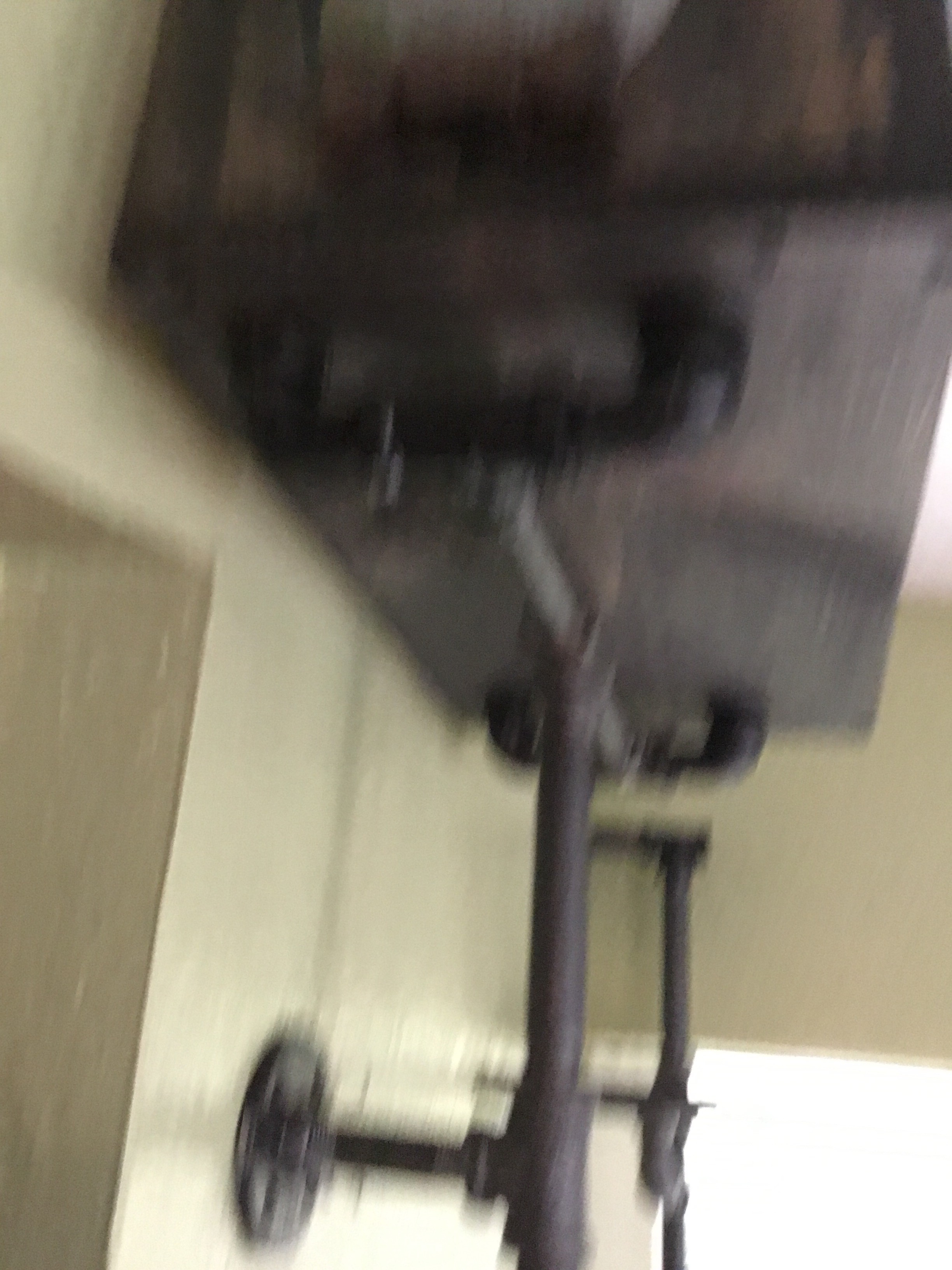 Cat Wall : 5 Steps (with Pictures) - Instructables