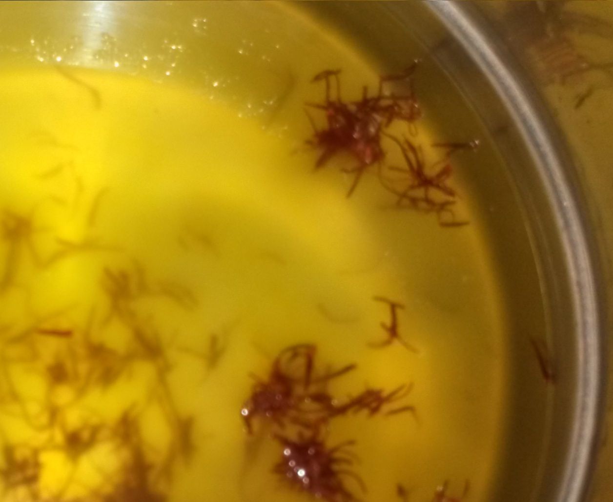 Paella on the Barbecue : 6 Steps (with Pictures) - Instructables