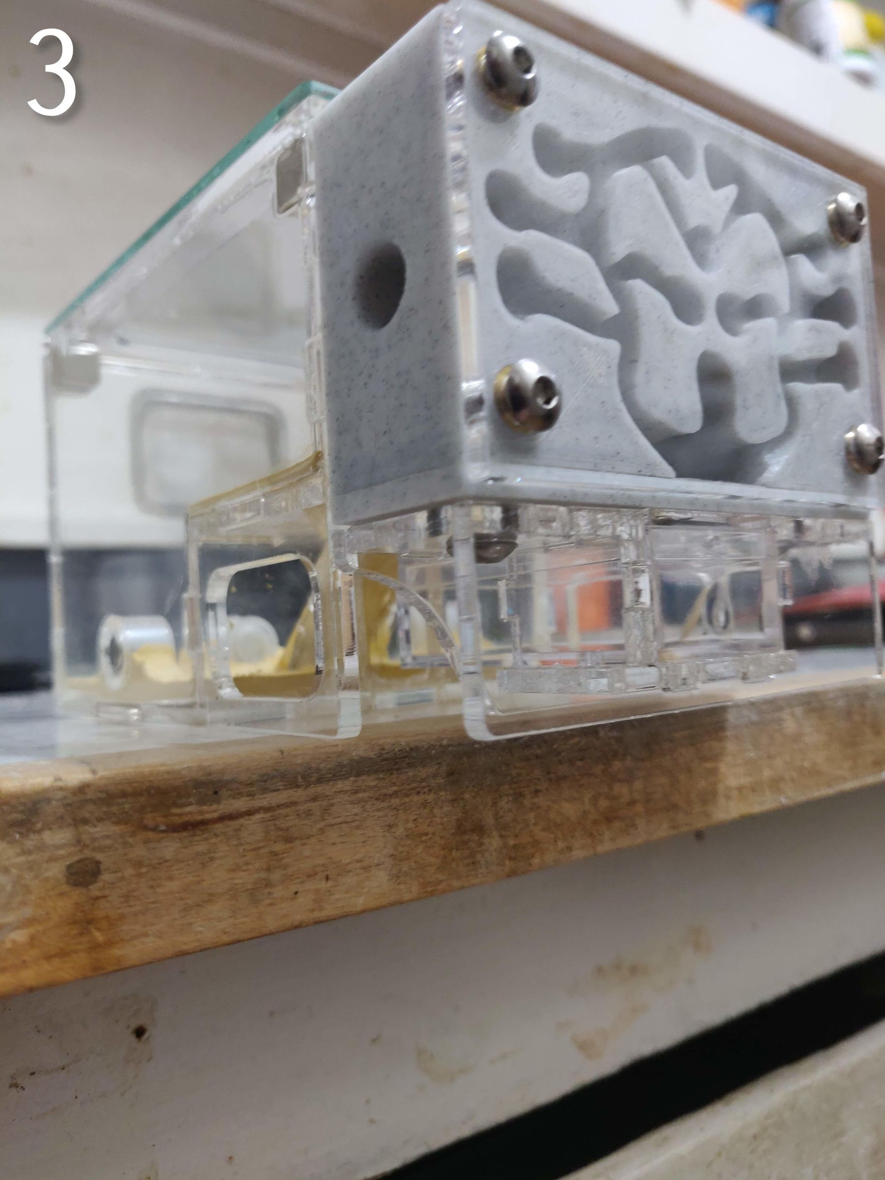 Small Modular Formicarium (Ant Farm) : 16 Steps (with Pictures ...