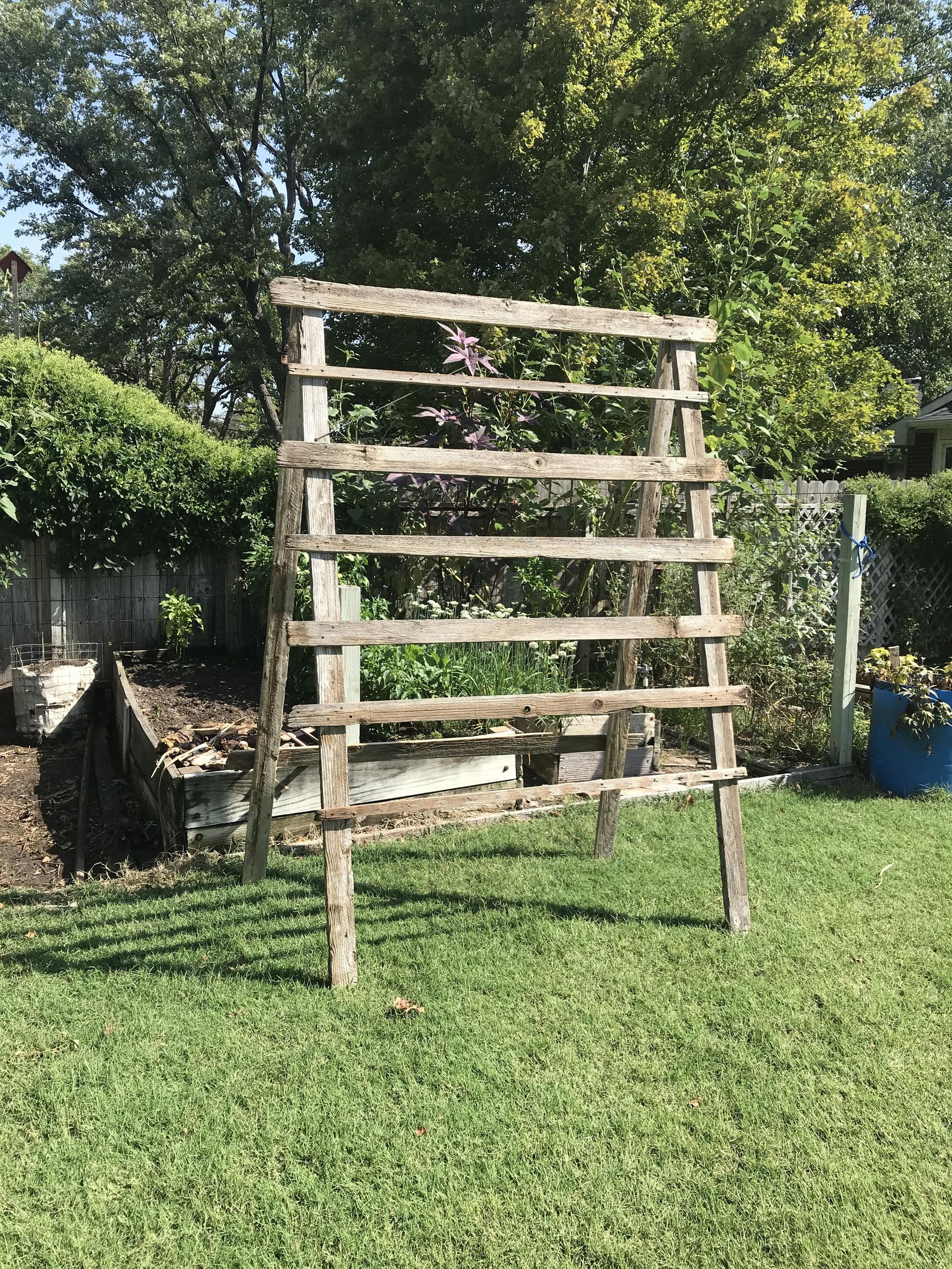 Bean Ladder : 4 Steps (with Pictures) - Instructables