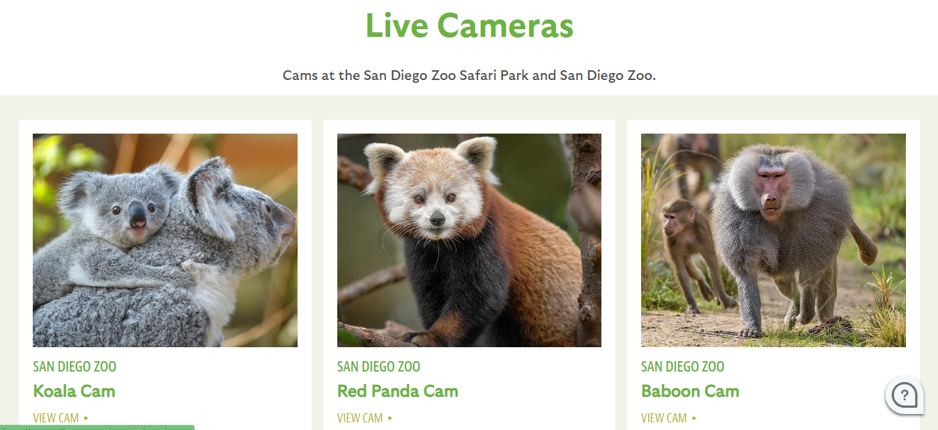 Tabletop Zoo : 8 Steps (with Pictures) - Instructables