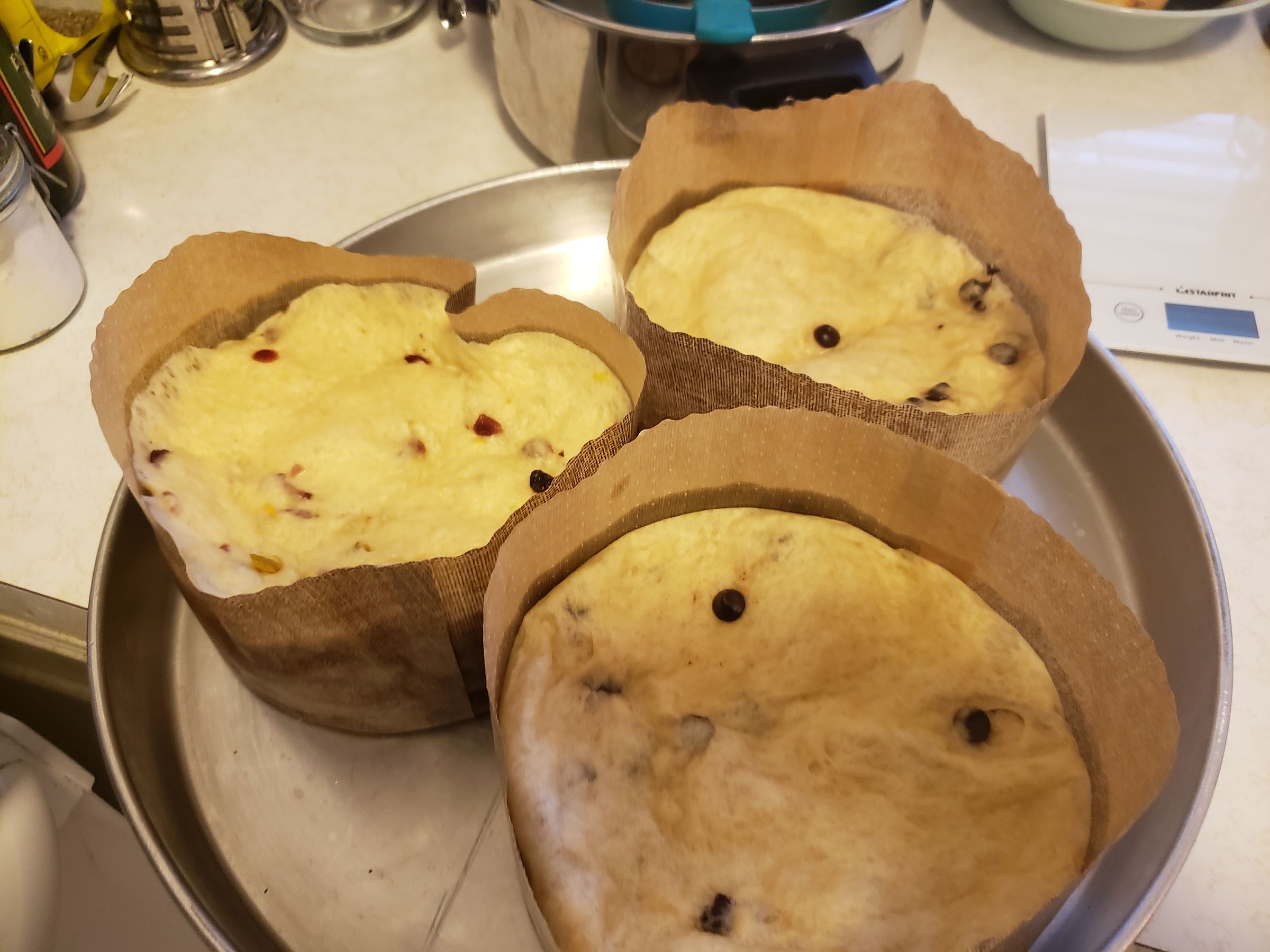 Homemade Panettone : 9 Steps (with Pictures) - Instructables