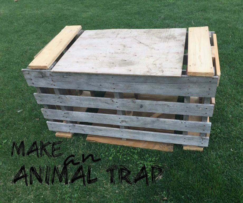 Wooden Animal Trap : 12 Steps - Instructables
