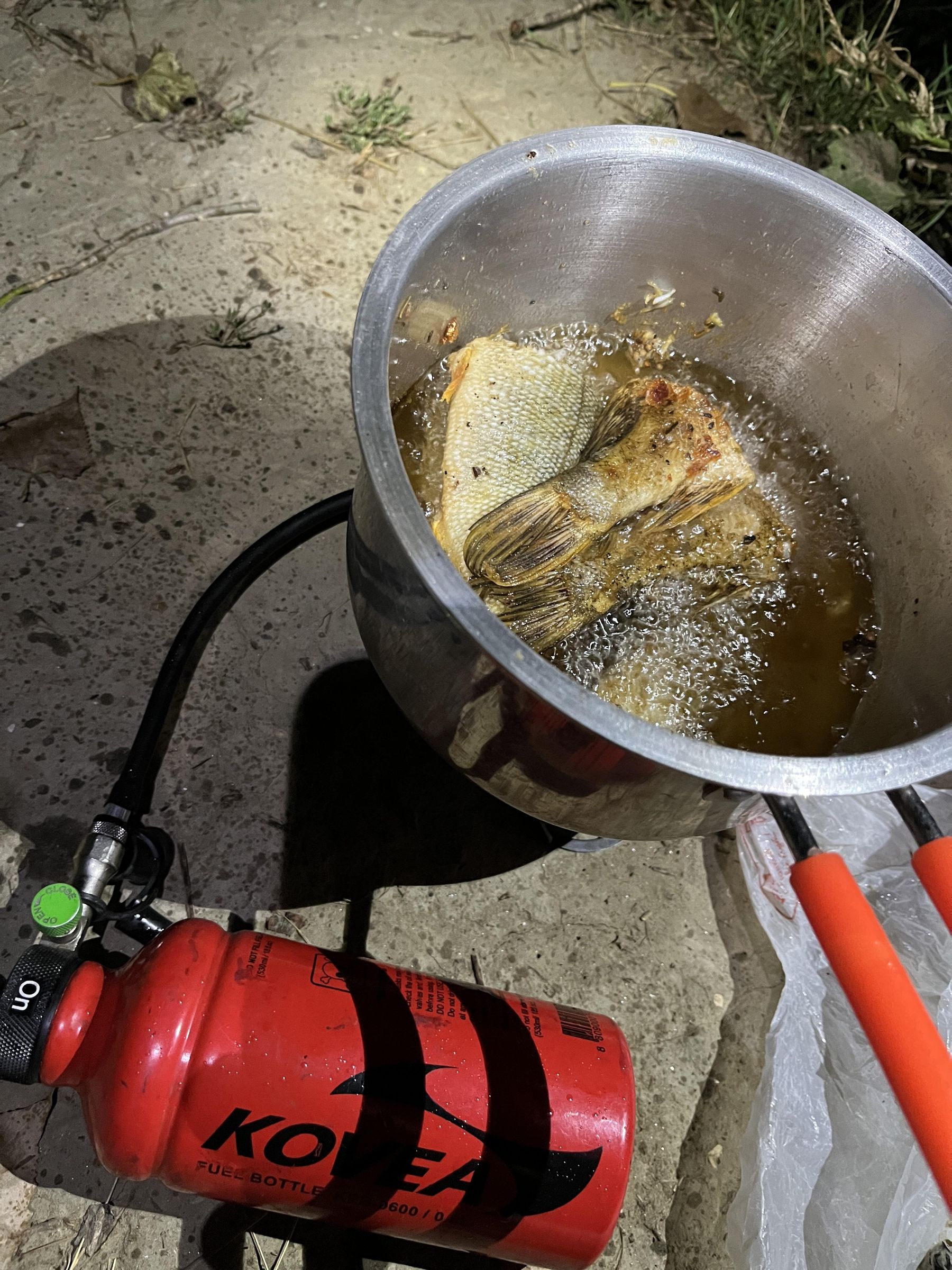 Deep-fried Outdoor Fish : 4 Steps (with Pictures) - Instructables