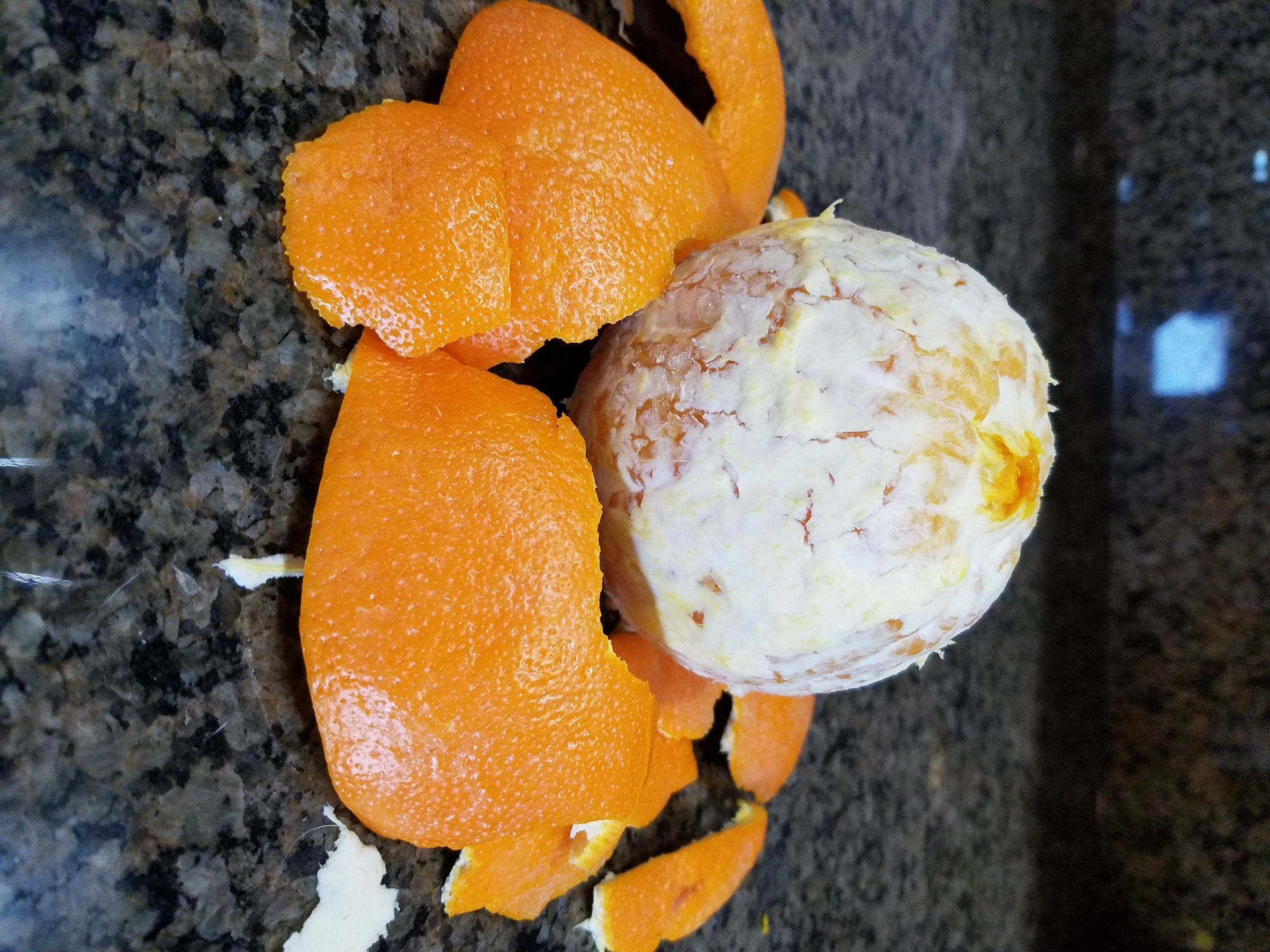 Perfect Citrus Segments (Using Science!) : 5 Steps (with Pictures ...