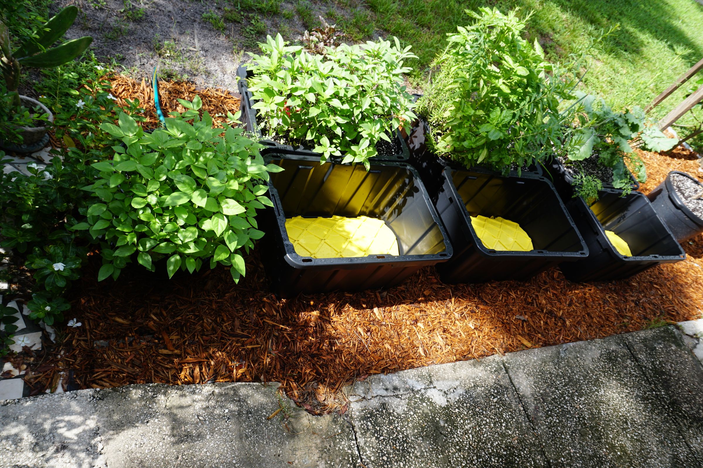 Self-watering Tote Garden : 3 Steps - Instructables