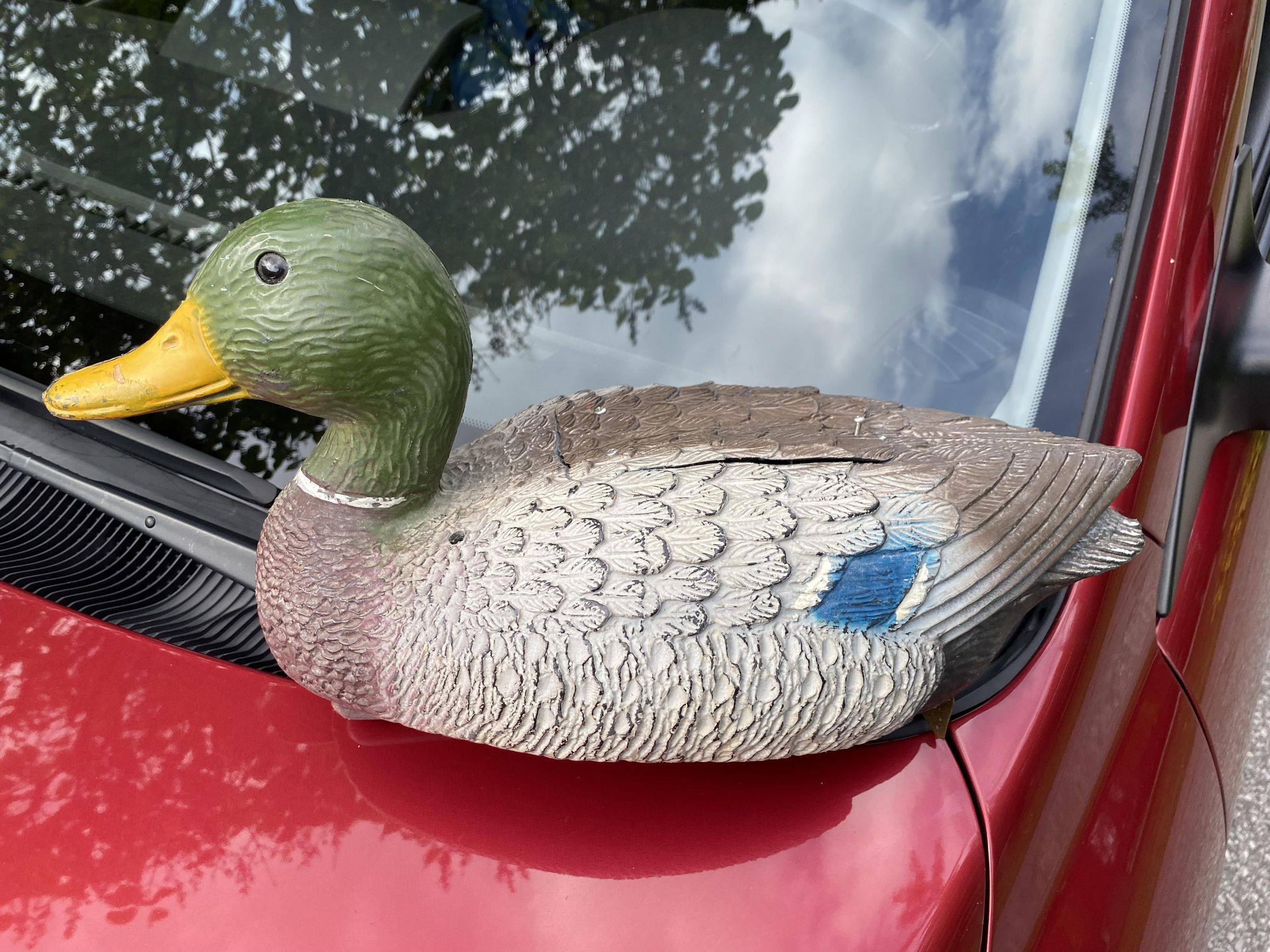 Dave - the Remote Control Duck : 25 Steps (with Pictures) - Instructables