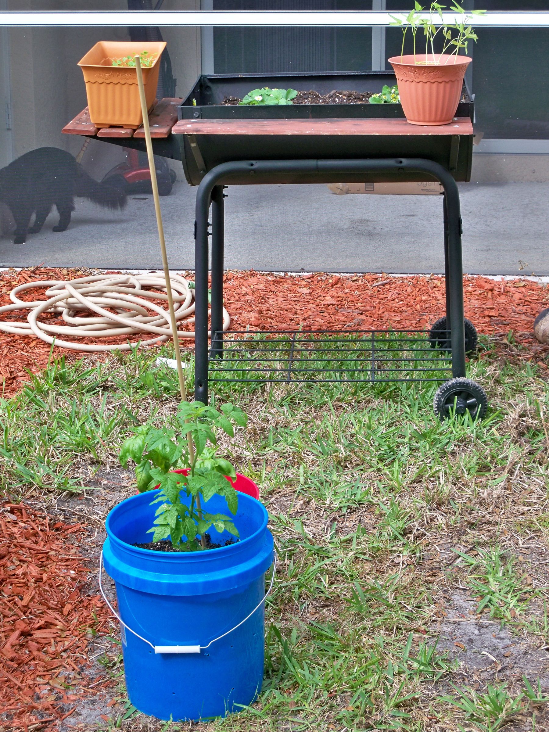 Upcycle a Discarded Grill/Smoker to a Fun Planter Box(updated) : 4 ...