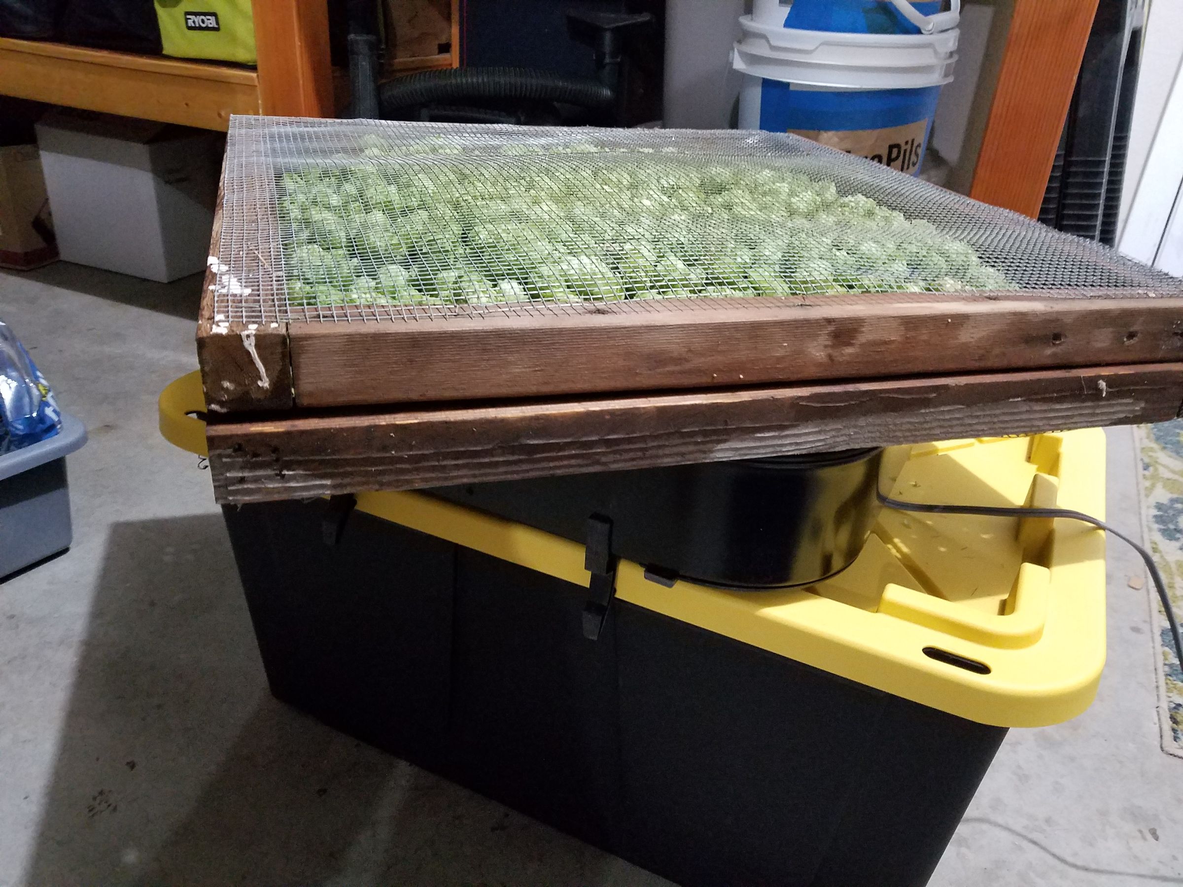 Homemade Hop Oast for Drying Homegrown Hops to Put in Homebrew Beer : 6 ...