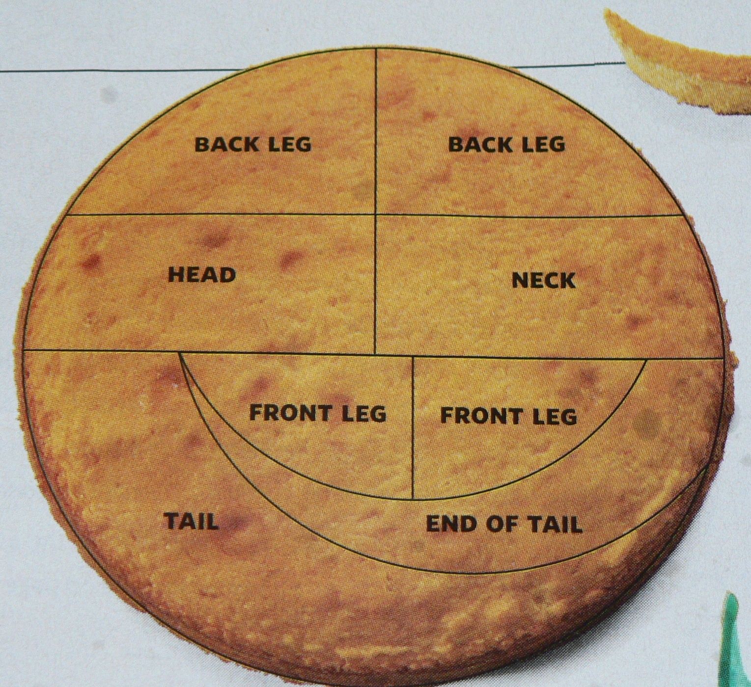 Fire-Breathing Dragon Cake!! : 6 Steps (with Pictures) - Instructables