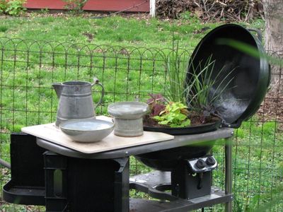 How to Turn Your Old Grill Into a Planter : 18 Steps (with Pictures ...
