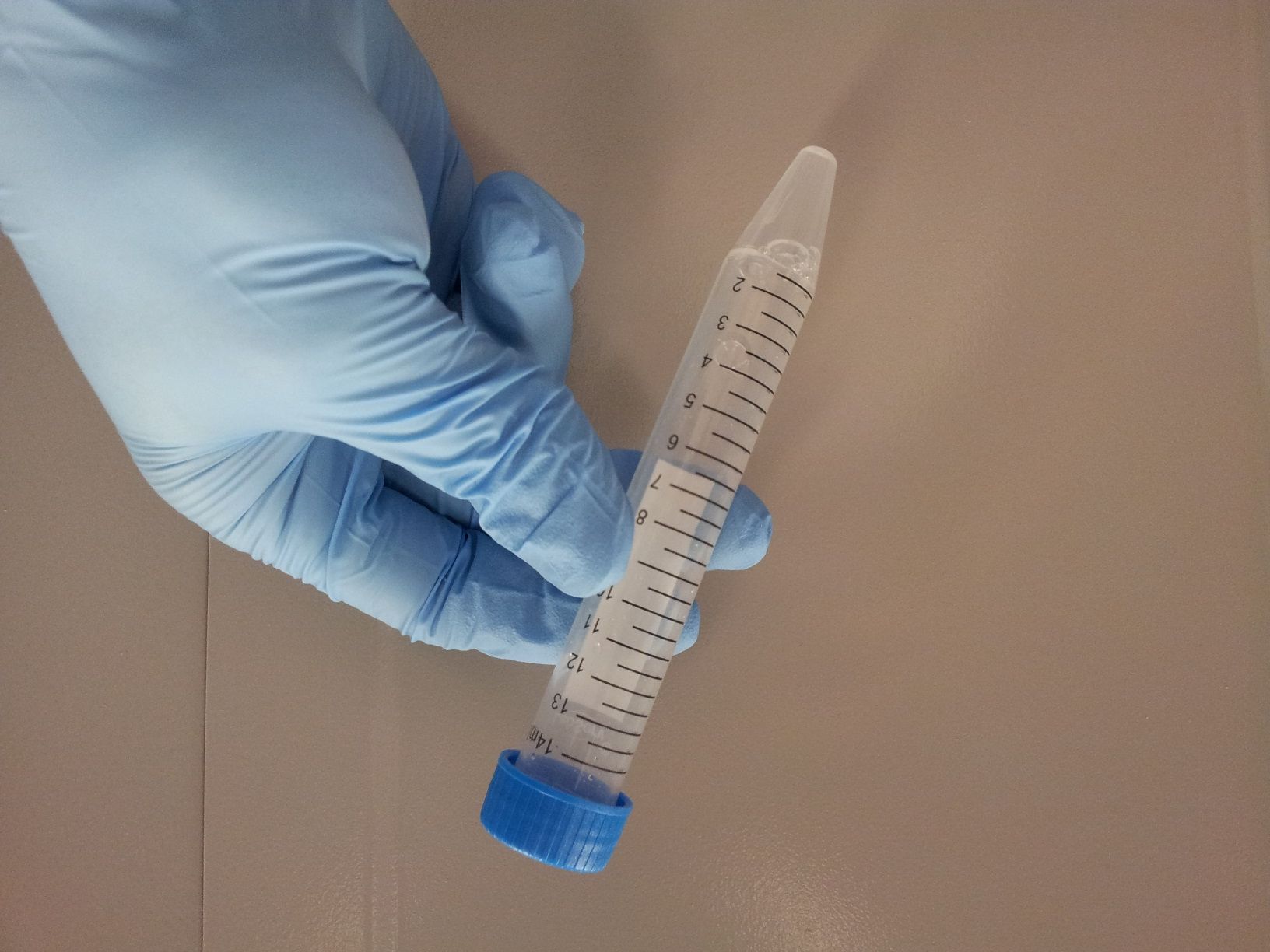Evaluation for an APS/TEMED Aliquot in the SDS-PA Gel Protocol : 8 ...
