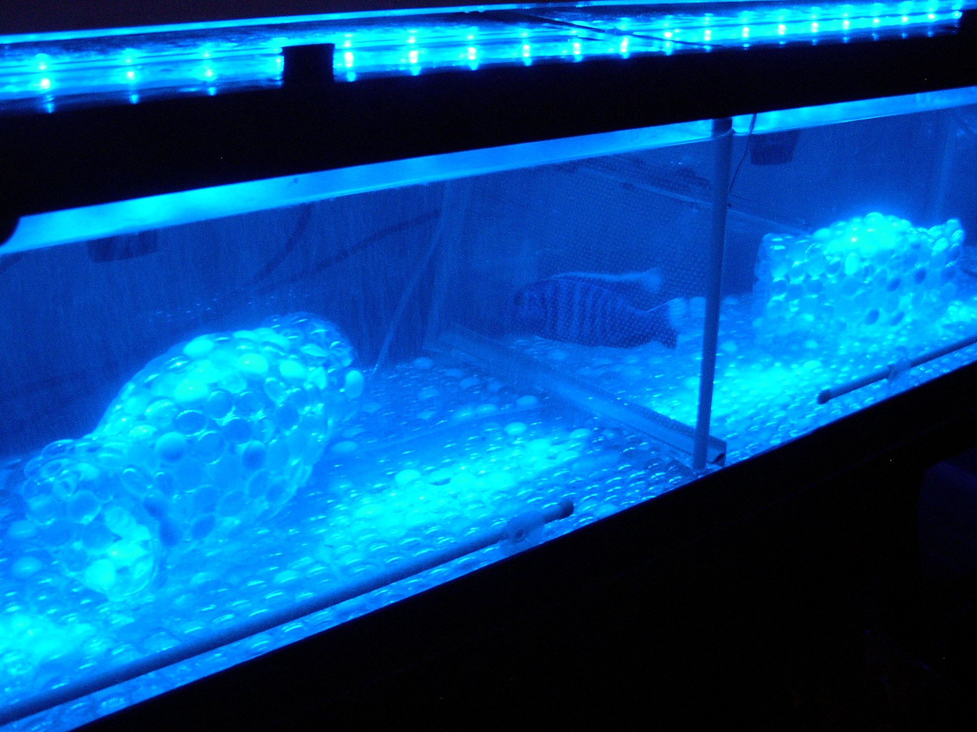 Aquarium Pebble Mats : 3 Steps - Instructables