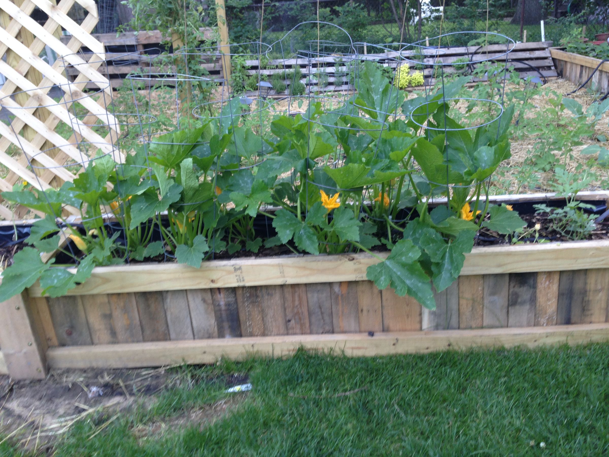 Outdoor Pallet Garden : 10 Steps (with Pictures) - Instructables