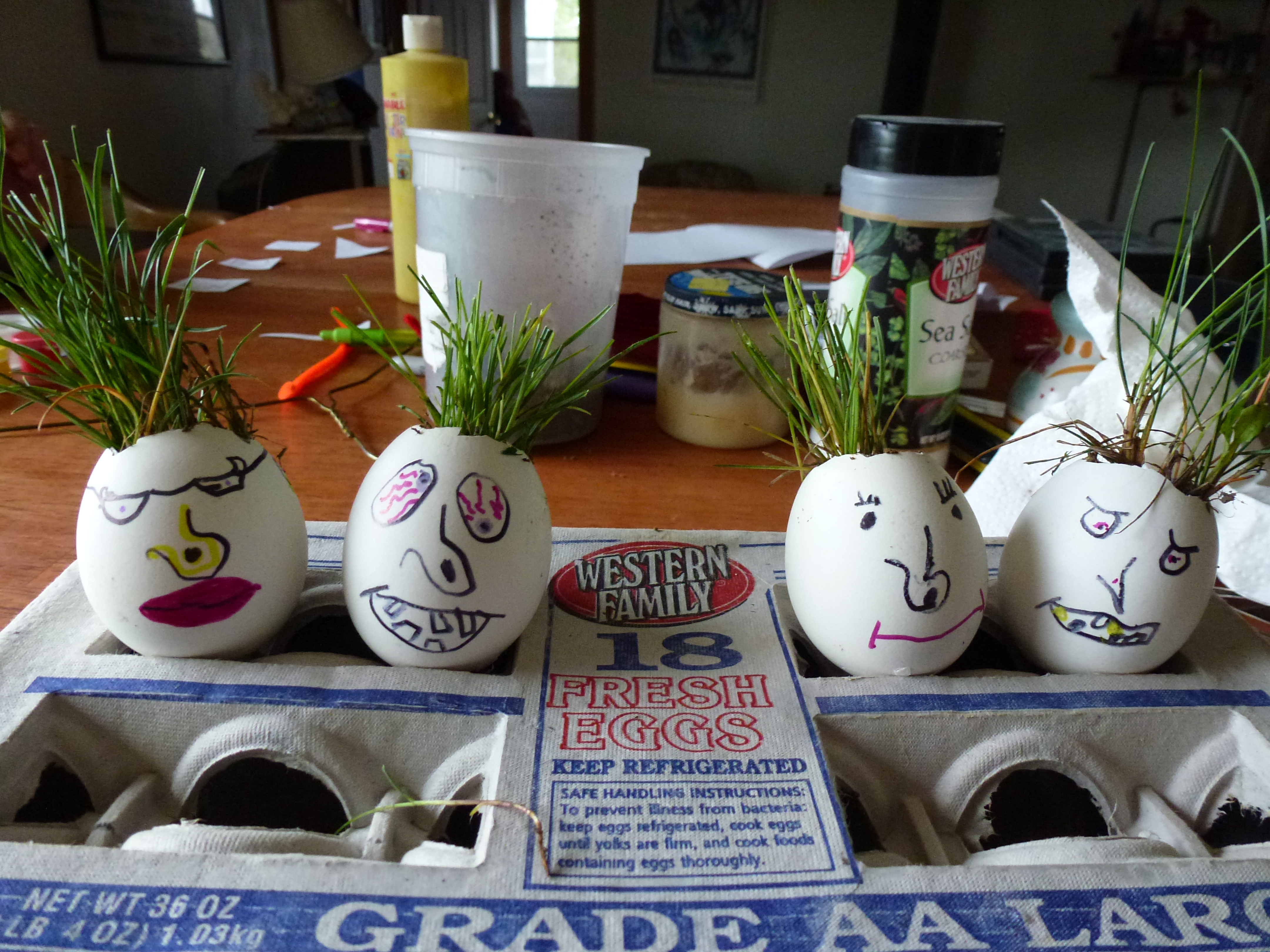 Humpty Dumpty Grassy Heads : 7 Steps (with Pictures) - Instructables