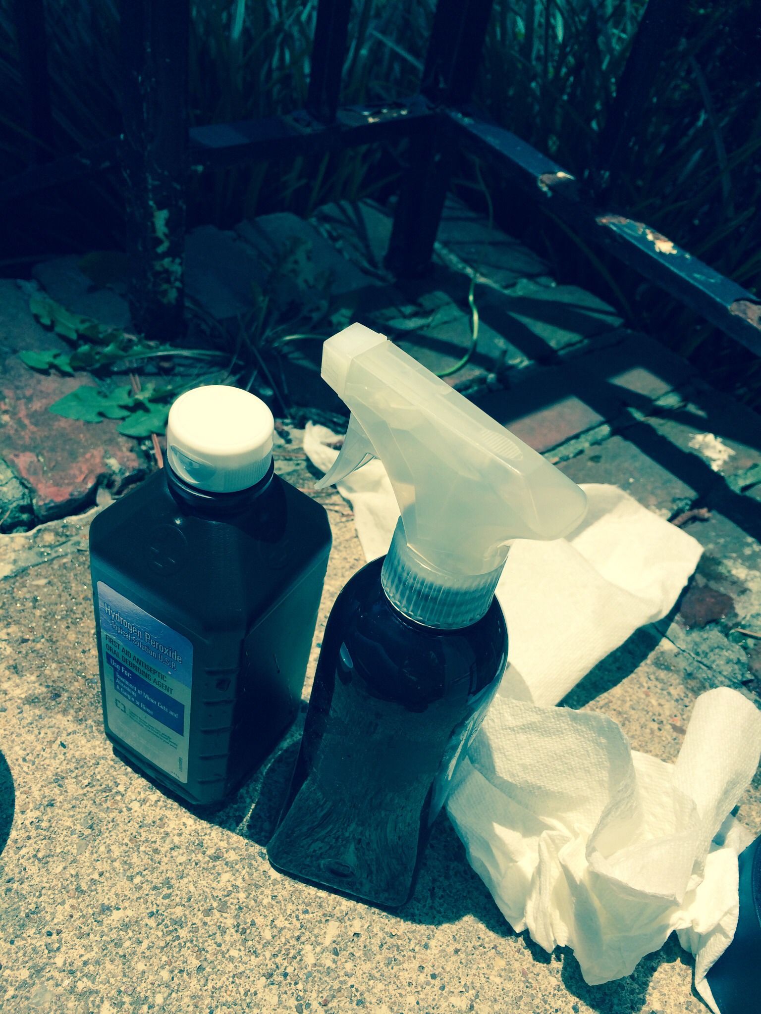 Hydrogen Peroxide Backyard Experiment : 5 Steps - Instructables
