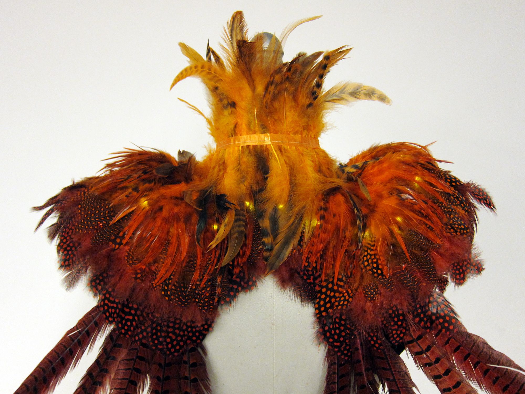 Phoenix Costume : 15 Steps (with Pictures) - Instructables