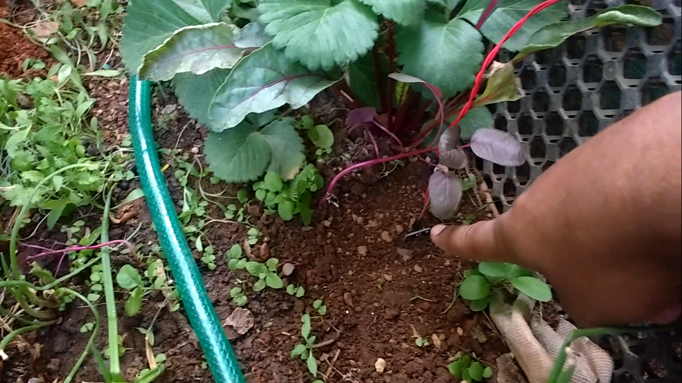 How to Make Automatic Irrigation System Using Arduino : 5 Steps ...