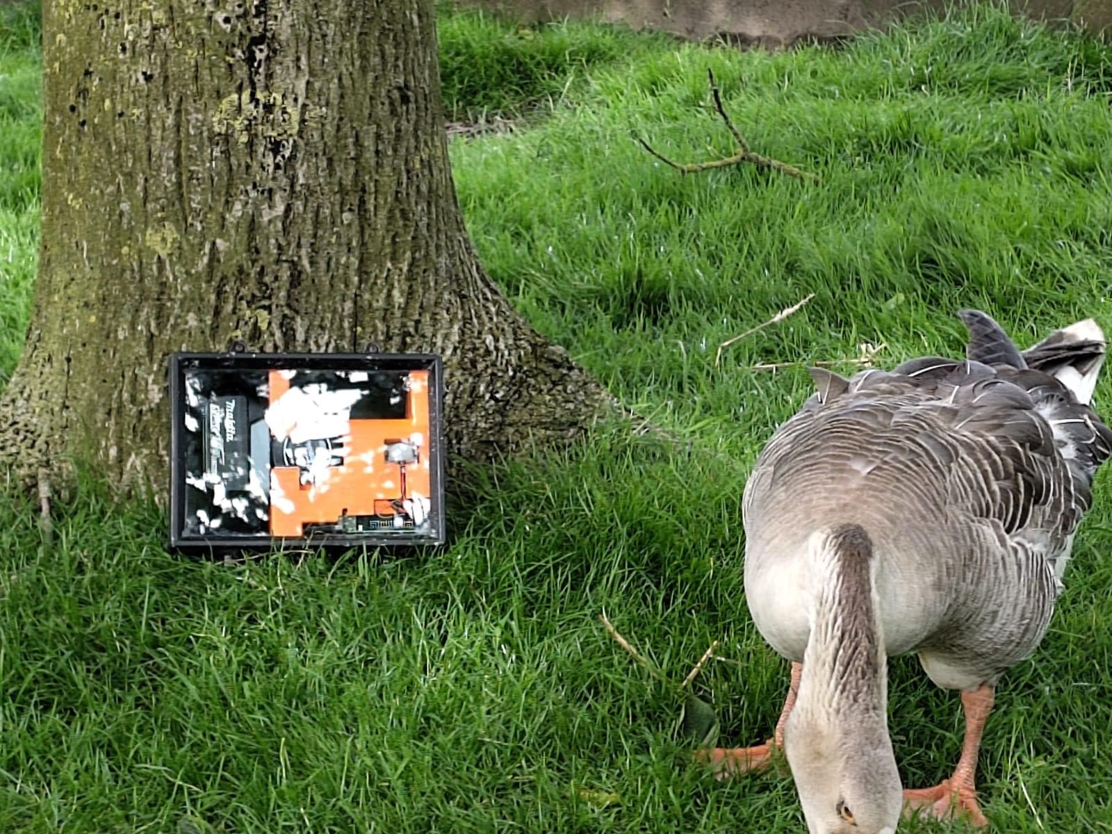 Wildlife Monitoring System : 5 Steps - Instructables