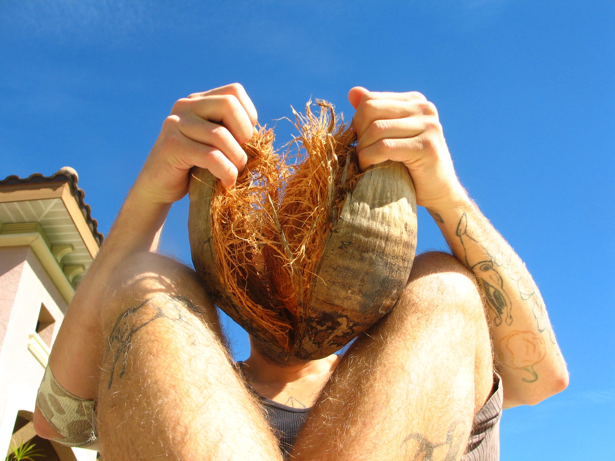 How to Peel a Coconut (with Only a Claw Hammer) : 6 Steps (with ...