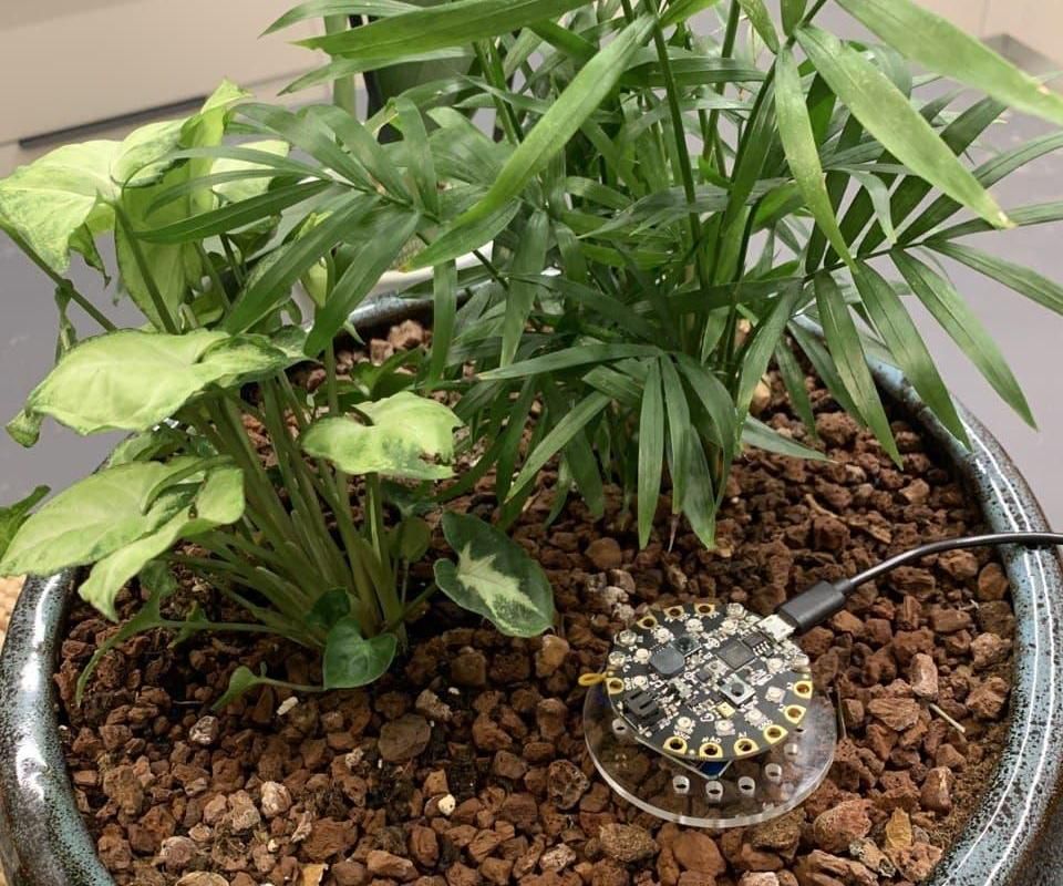 Growing a Plant With IOT : 8 Steps - Instructables