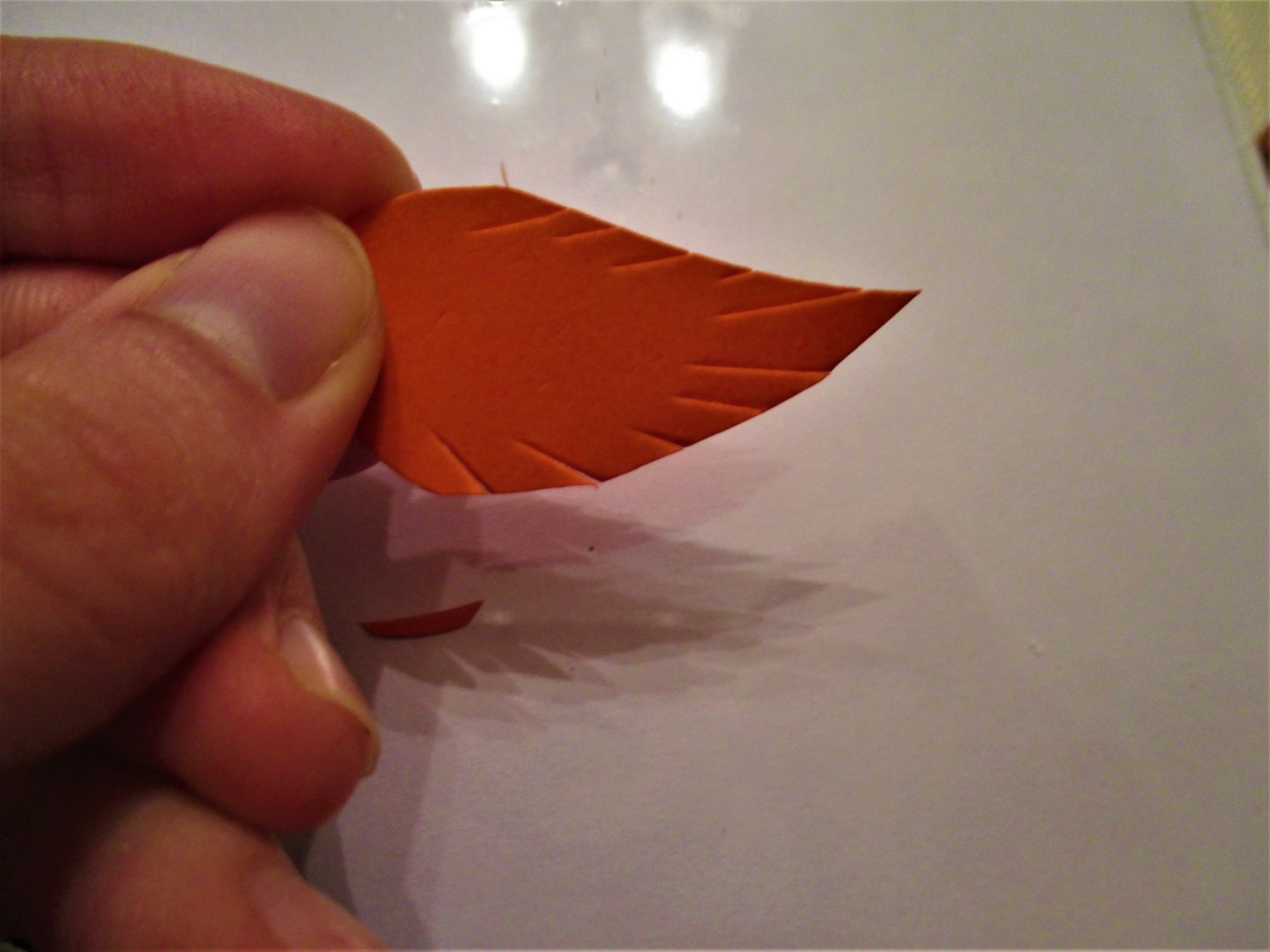 The Makings of a Fire Bird : 10 Steps - Instructables