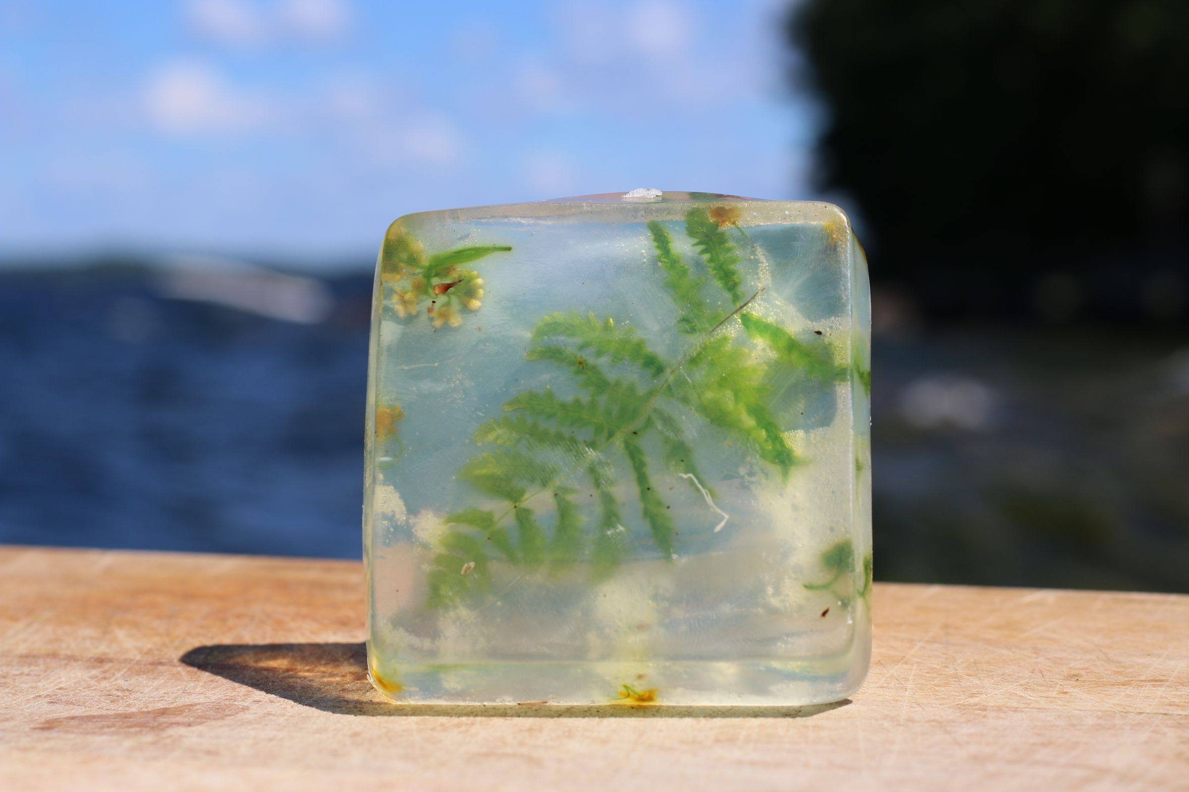 Handmade Memory Soaps : 5 Steps (with Pictures) - Instructables
