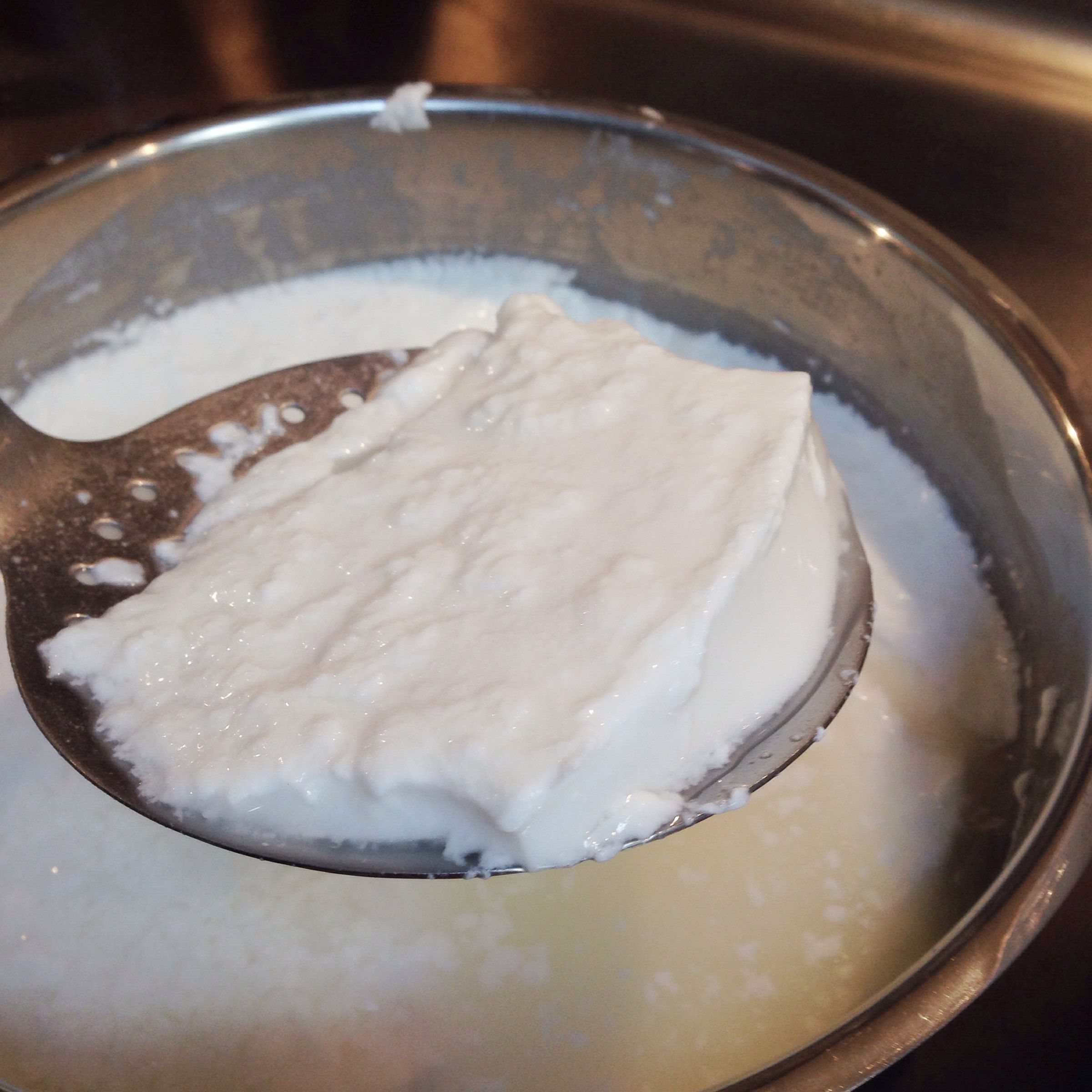 Easy Homemade Fresh Goat Cheese : 8 Steps (with Pictures) - Instructables