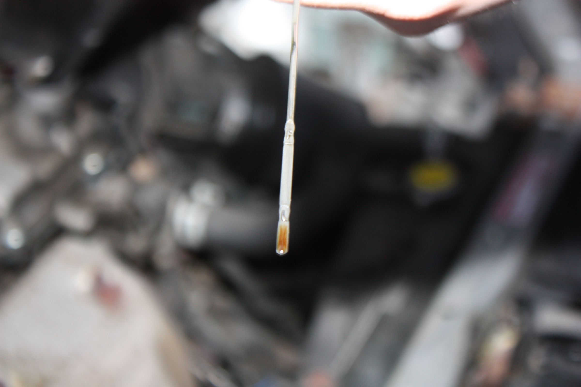 How to Properly Change Your Vehicles Oil : 8 Steps (with Pictures ...