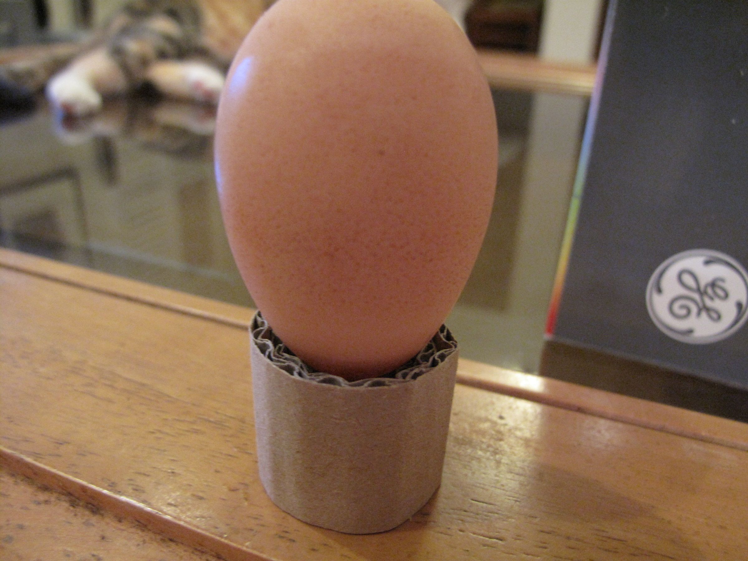 6-Pack Egg Carrier With Encapsulated Eggs! : 11 Steps (with Pictures ...