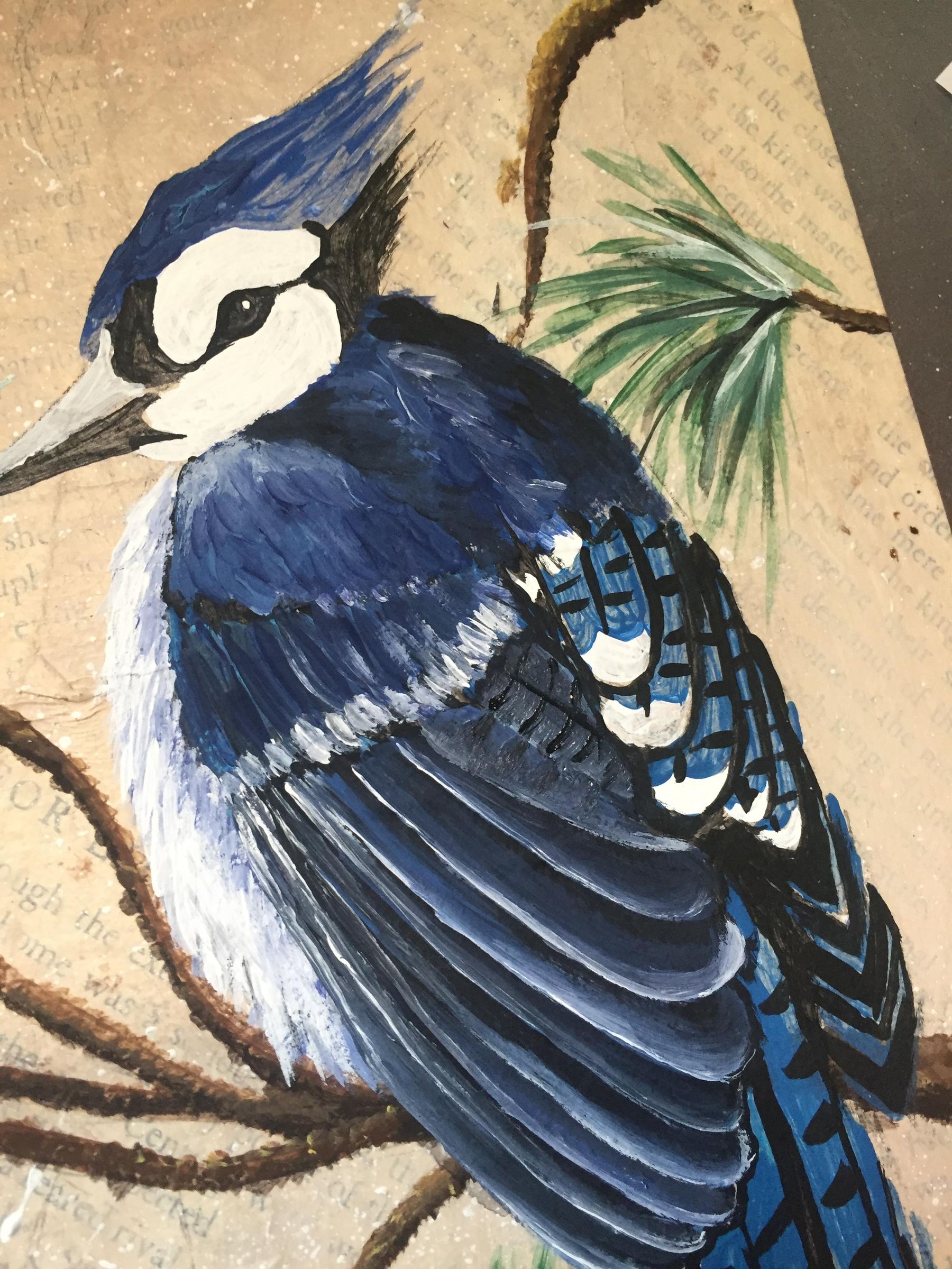 How to Paint a Blue Jay on a Branch. : 13 Steps (with Pictures ...