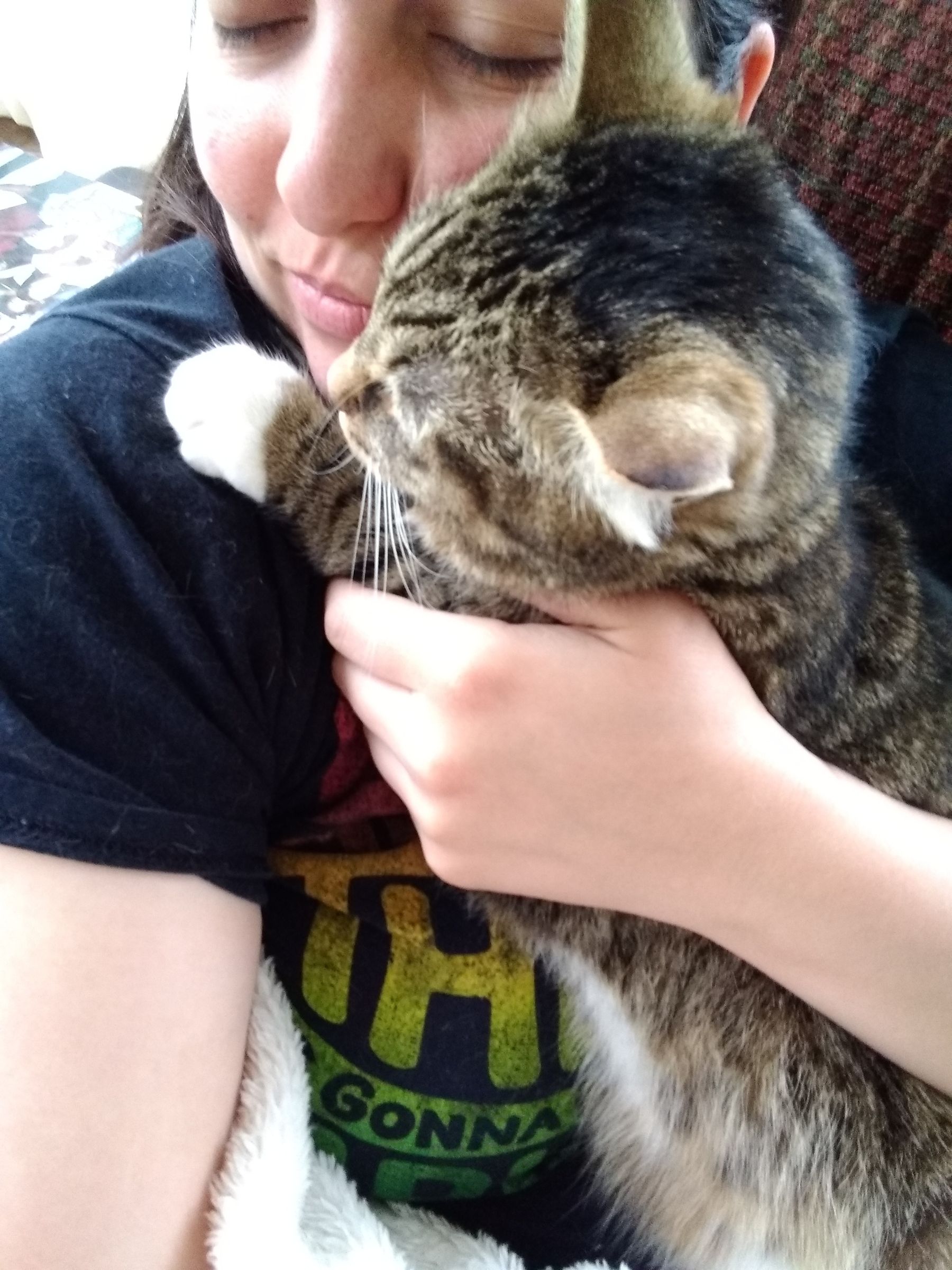 How To: Lull Your Cat to Sleep : 14 Steps (with Pictures) - Instructables