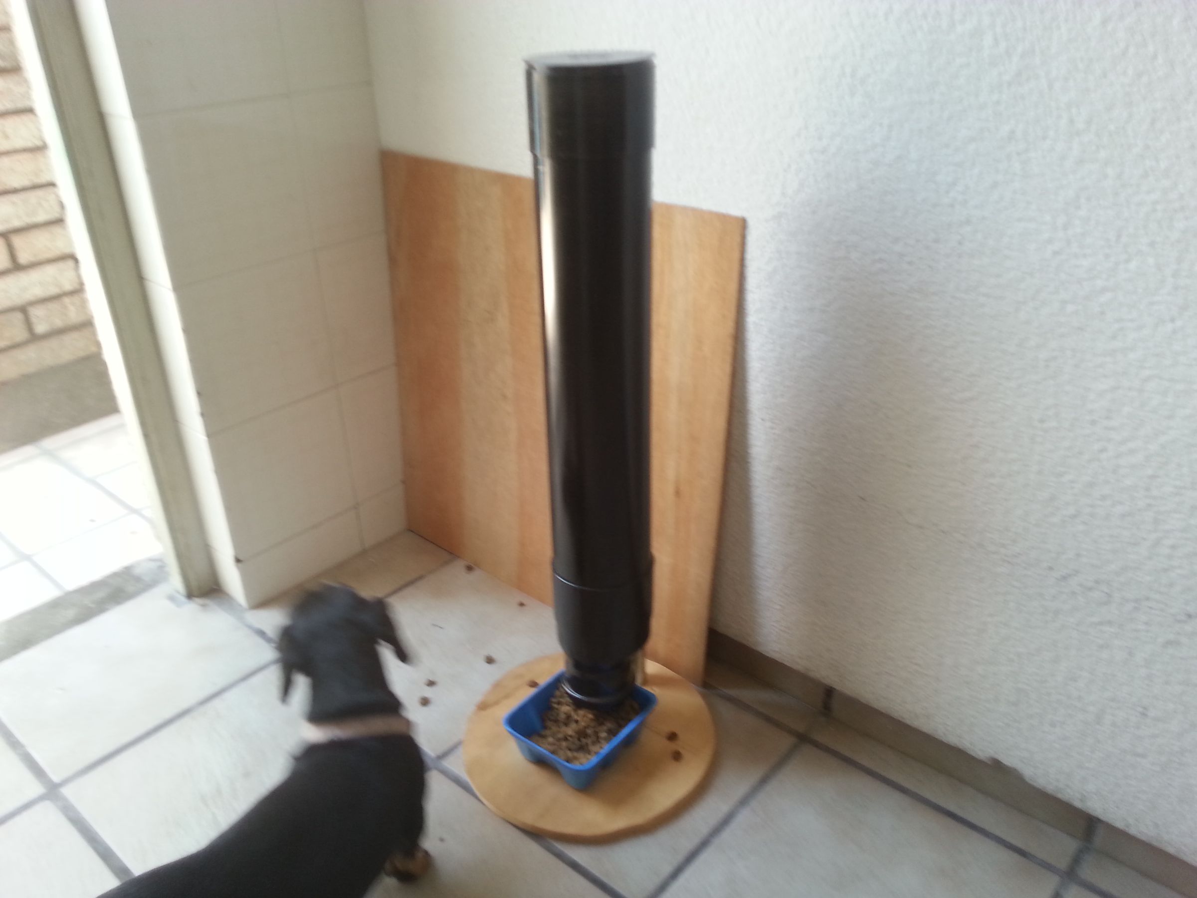 Auto Pet Feeder : 4 Steps - Instructables