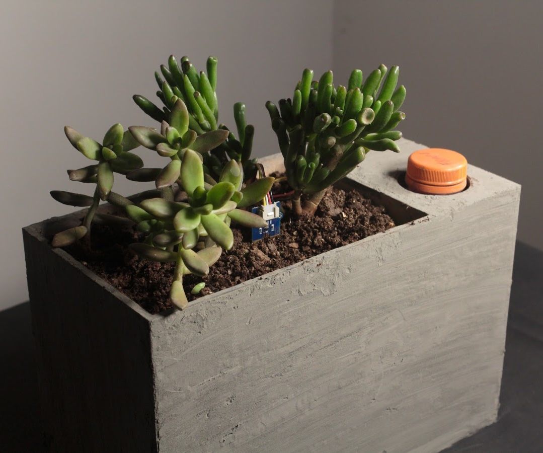 Arduino Automatic Plant Watering System : 8 Steps (with Pictures ...