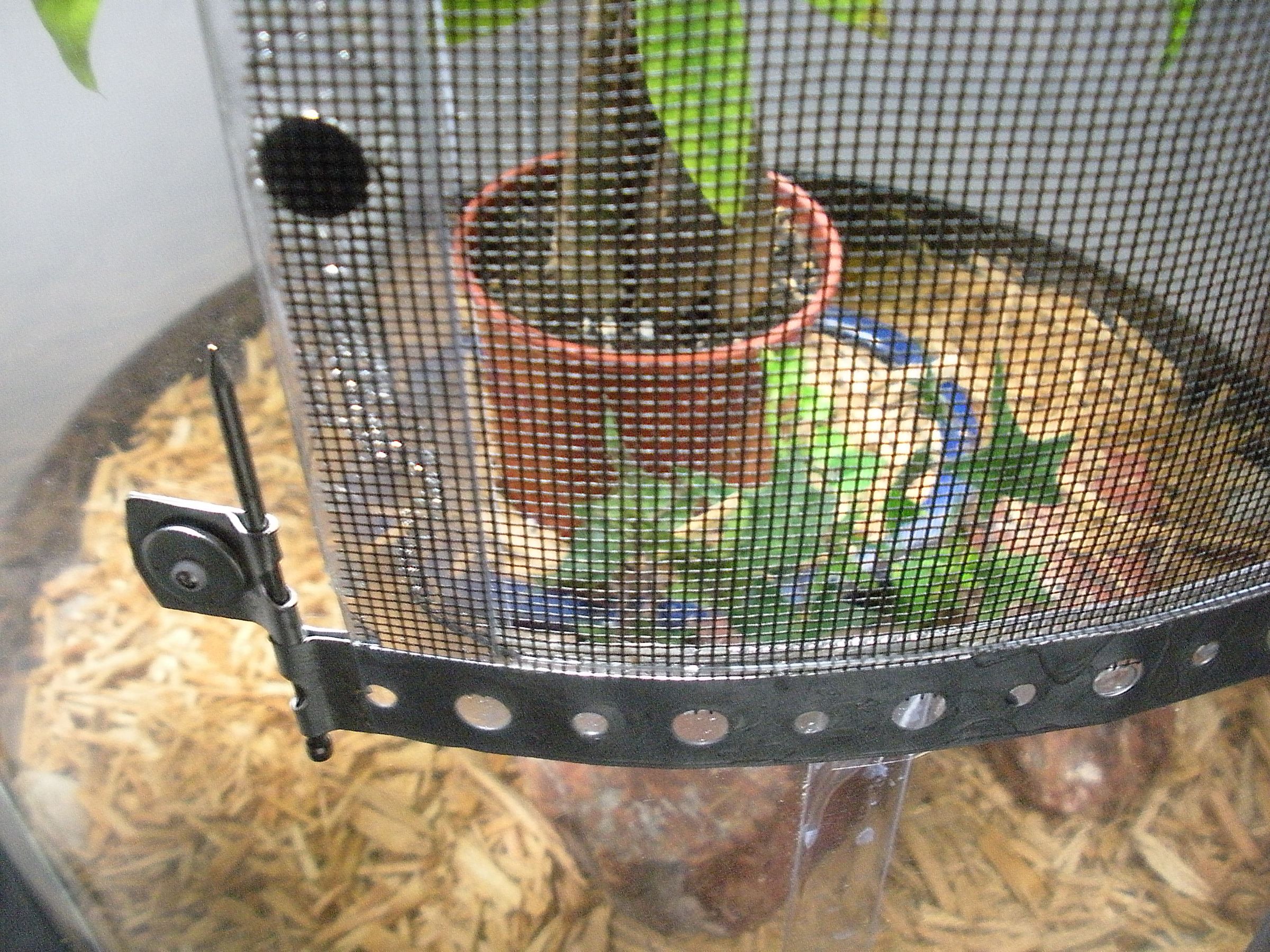 Nonagon Cabinet With Gecko Habitat : 7 Steps - Instructables