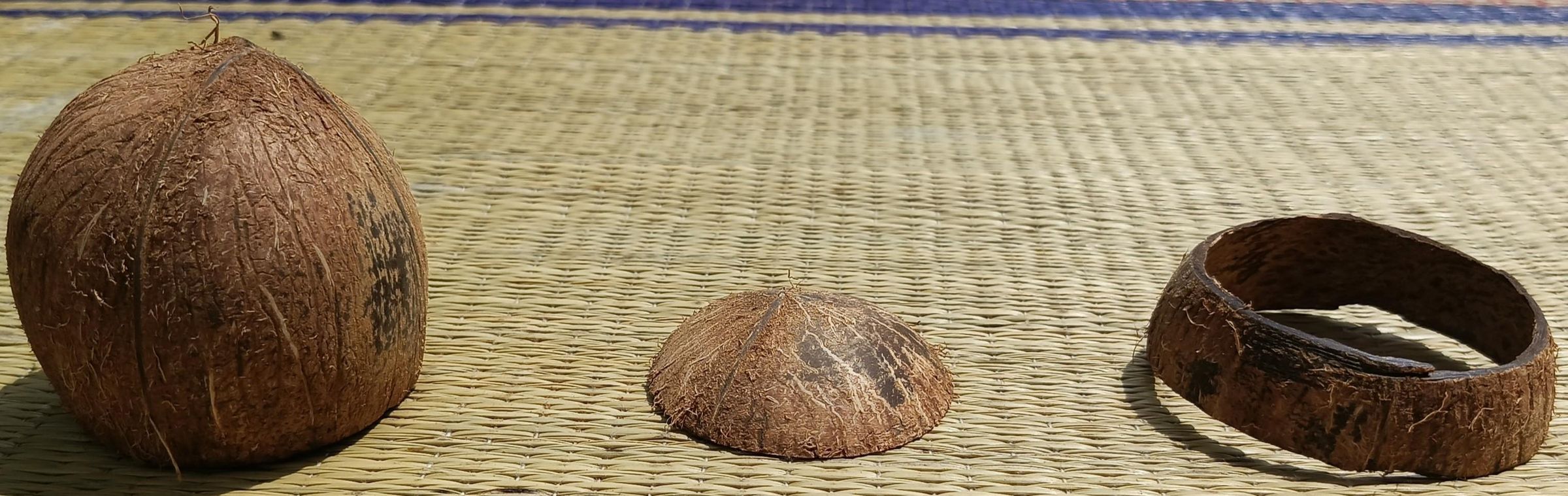 How to Recycle Discarded Coconut Shells : 7 Steps - Instructables