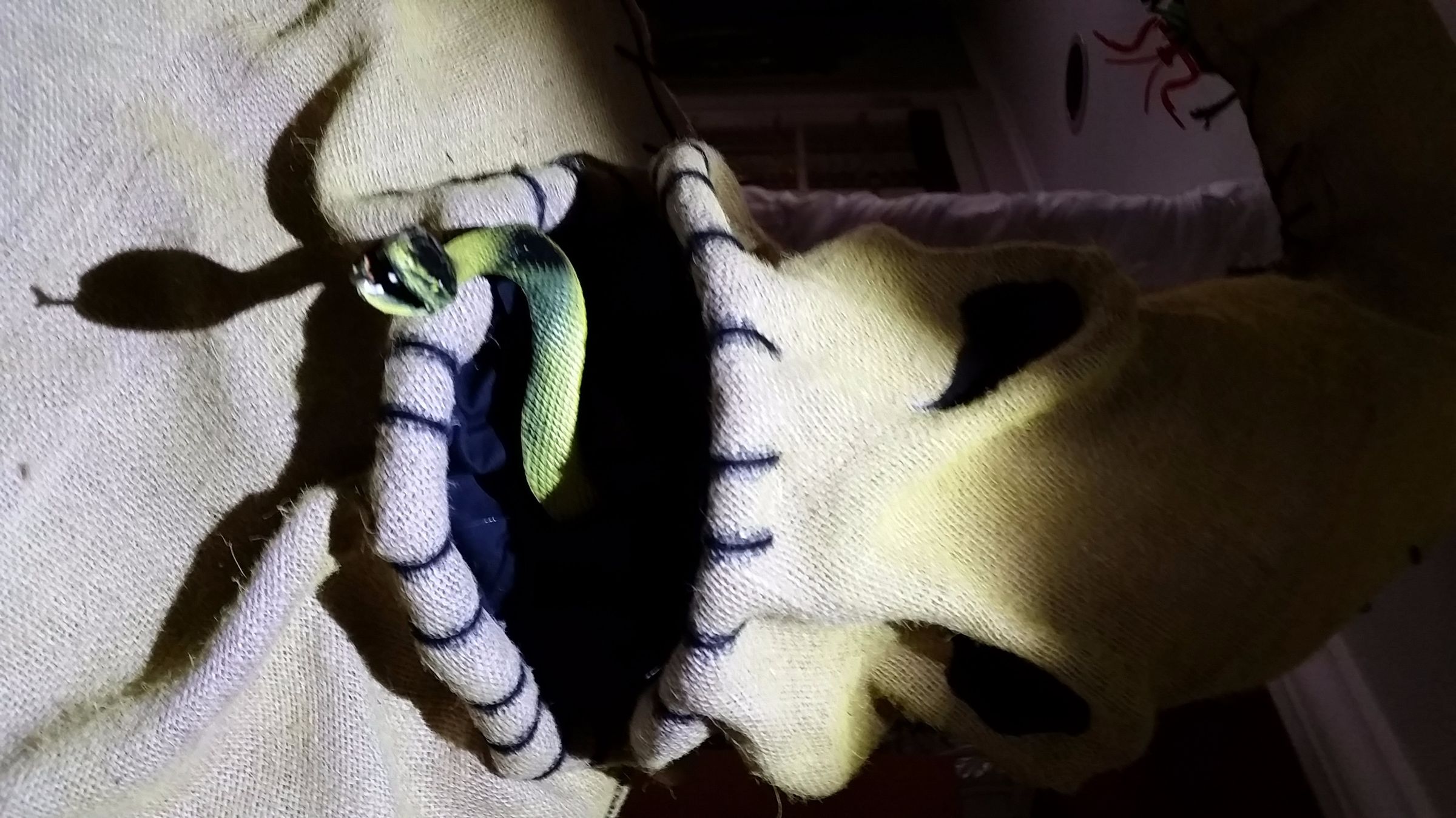 Oogie Boogie Halloween Decoration : 6 Steps (with Pictures) - Instructables