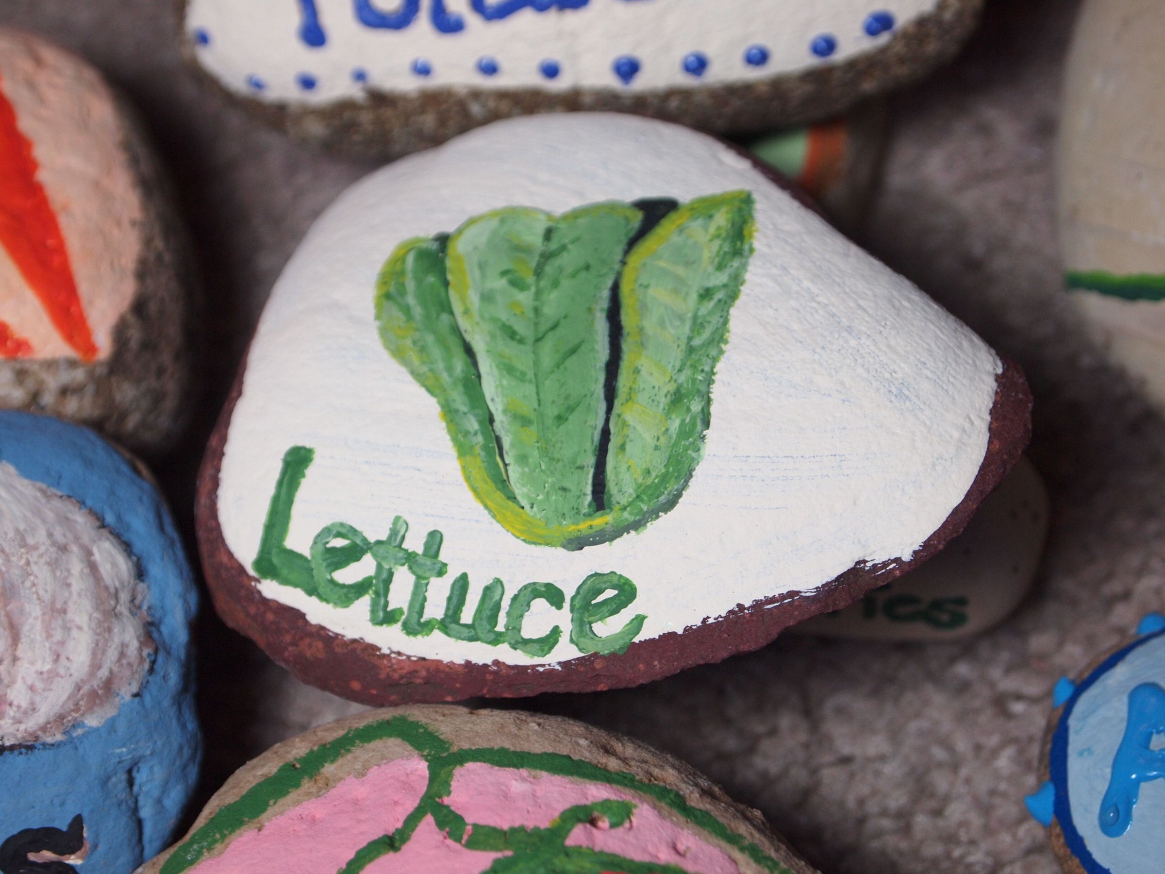 Painted Rock Garden Markers - Instructables
