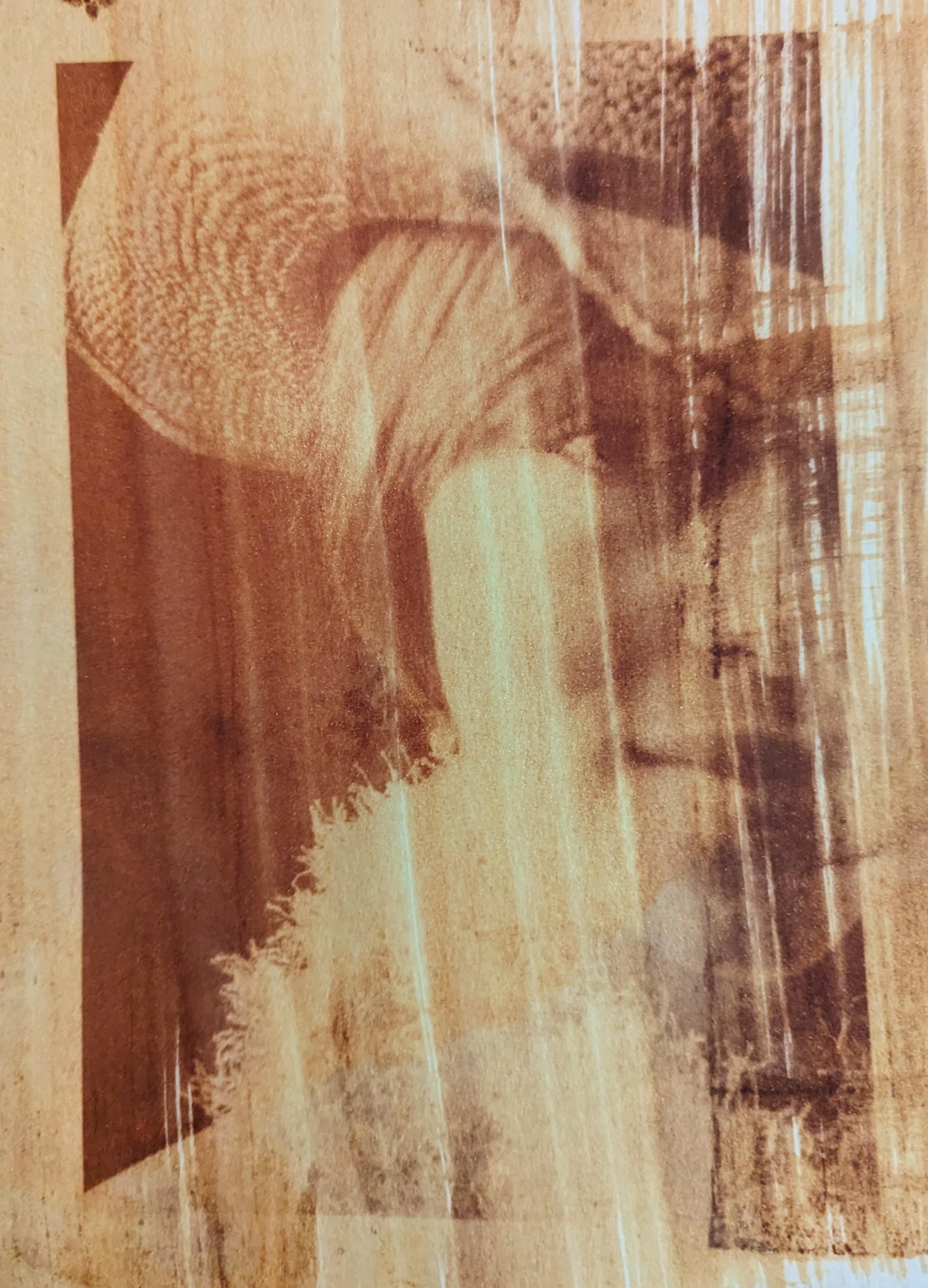 DIY Anthotype Prints: Photography : 5 Steps (with Pictures) - Instructables