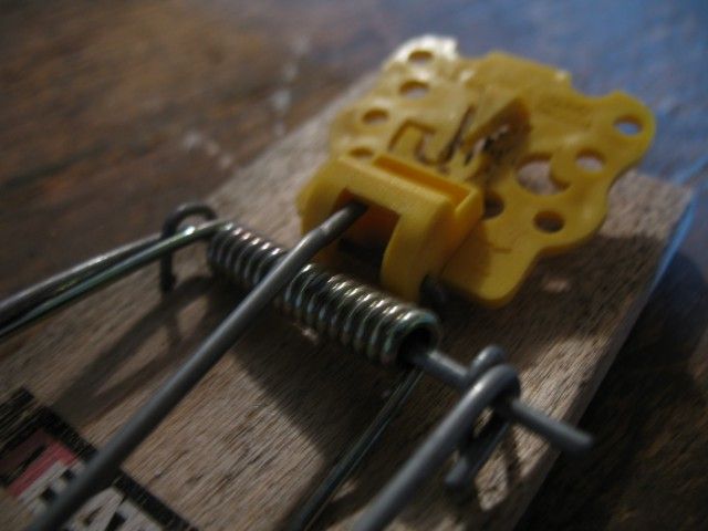 How to Trap a Mouse : 6 Steps - Instructables
