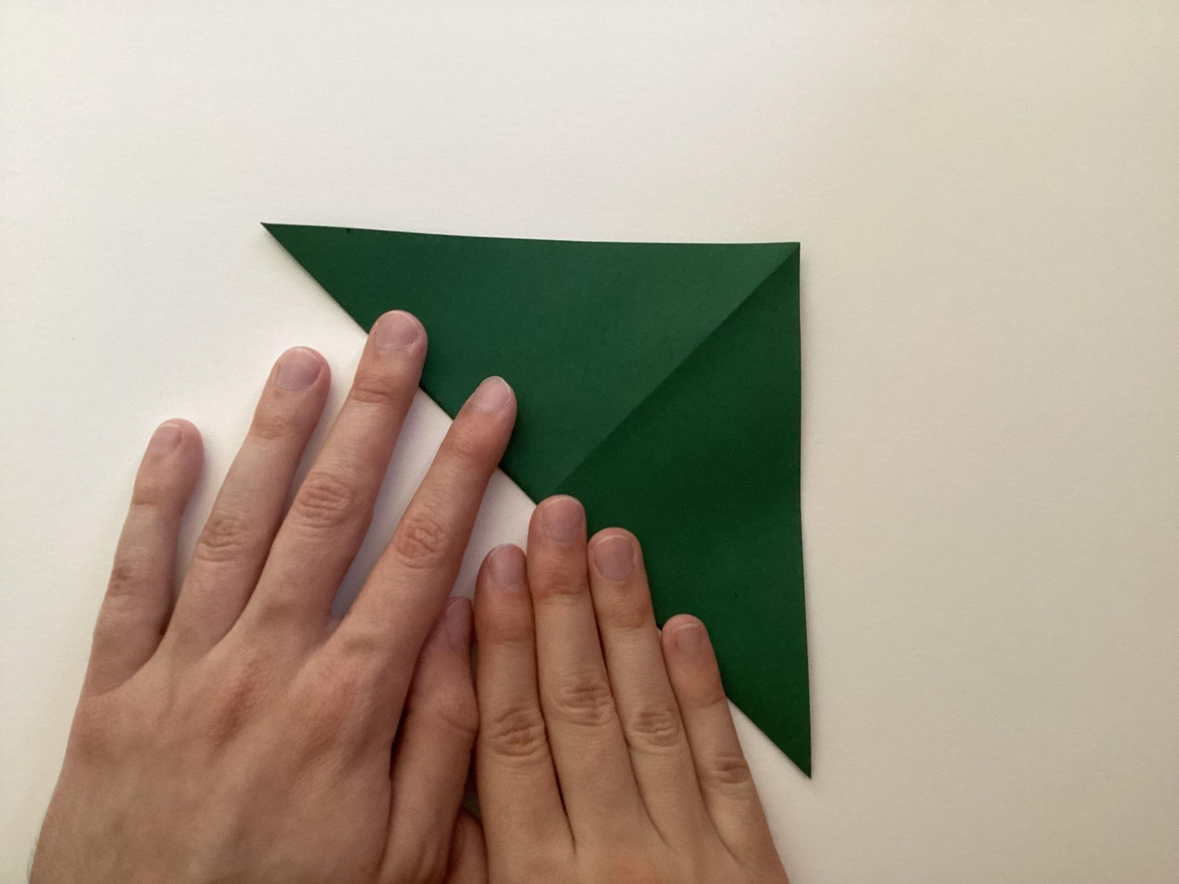 Origami Velociraptor : 12 Steps - Instructables