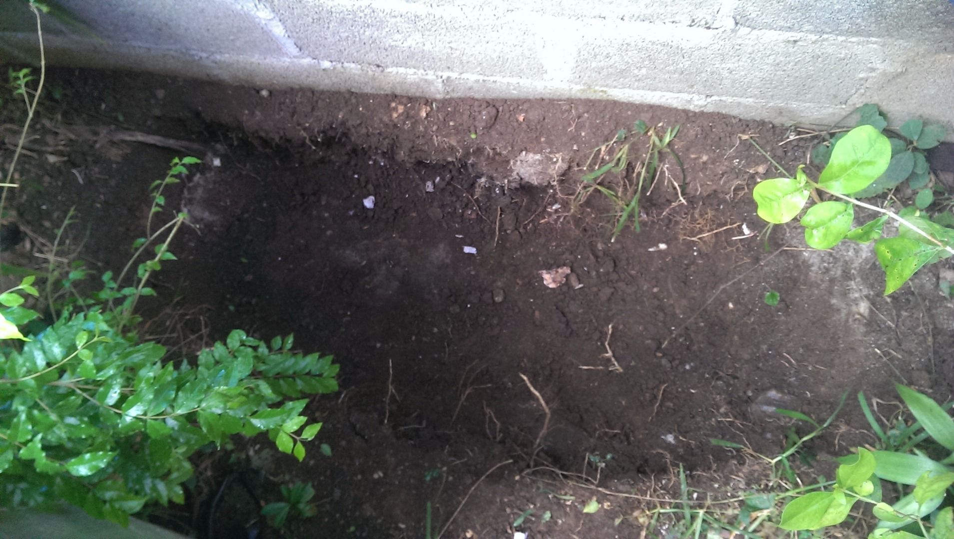 Concrete Storage Box Inground and Other Means of Doing It : 3 Steps ...