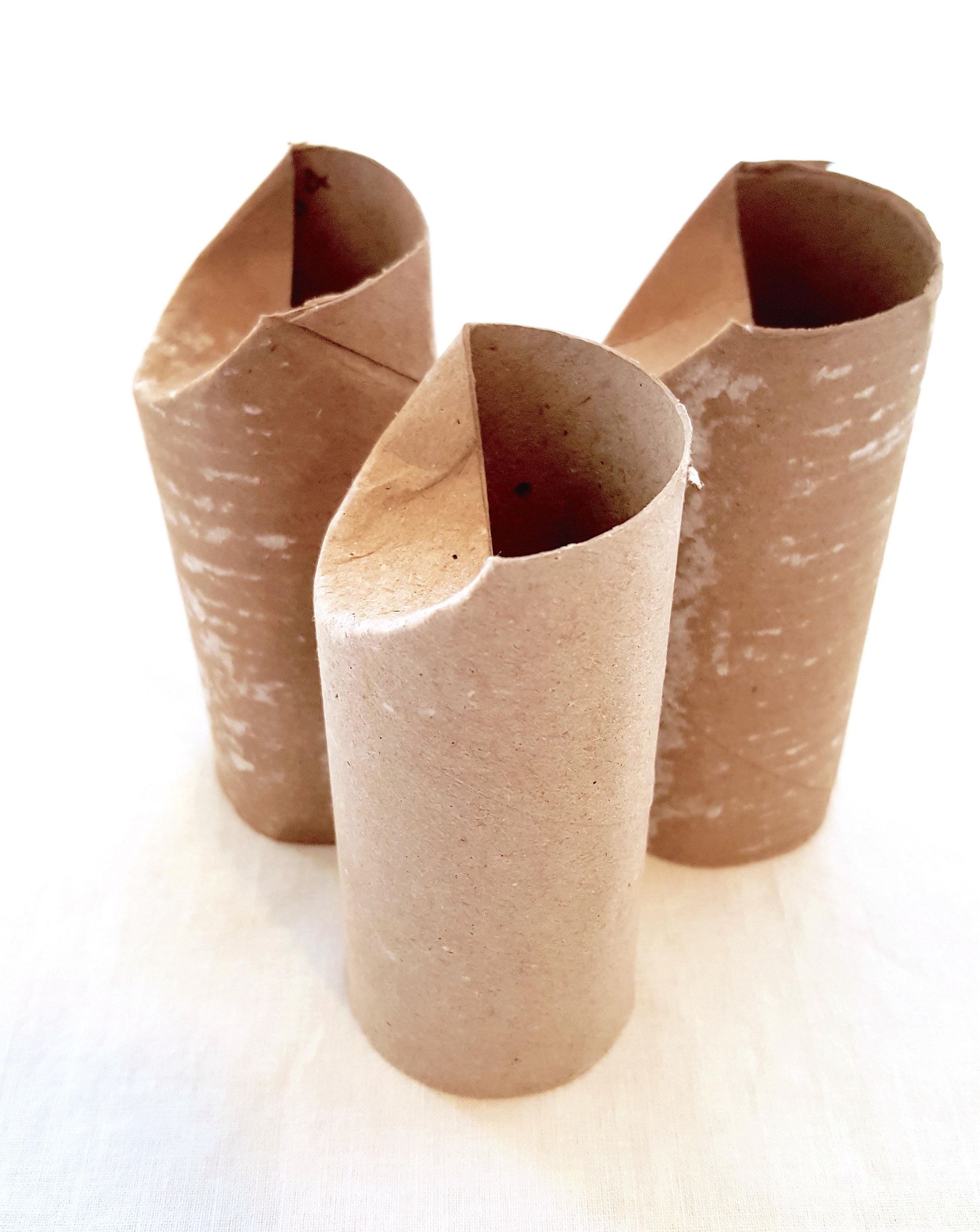 Cardboard Tube Critters : 6 Steps (with Pictures) - Instructables