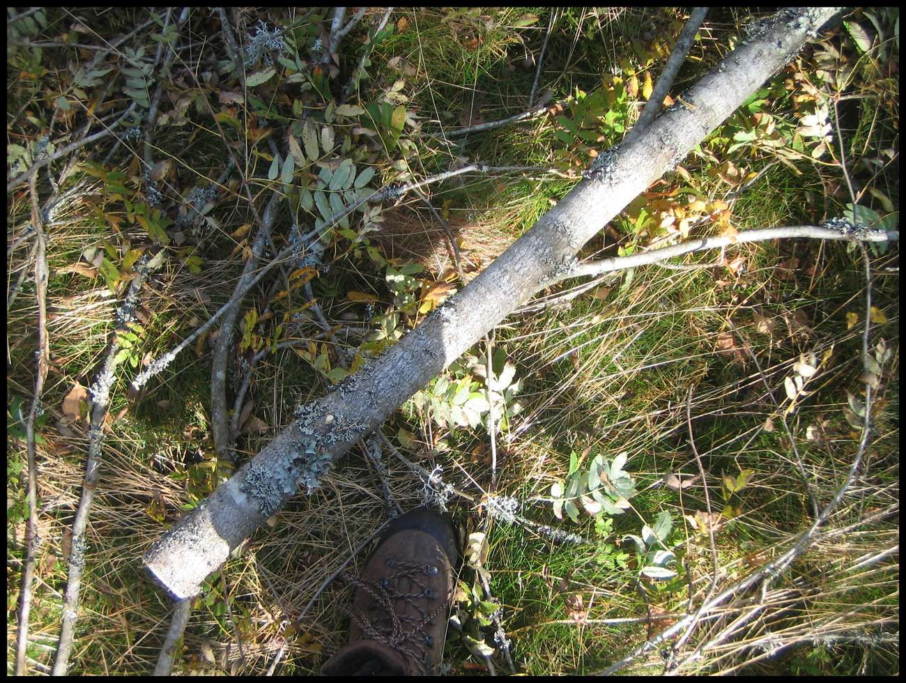 How to Carve a Sword : 4 Steps (with Pictures) - Instructables