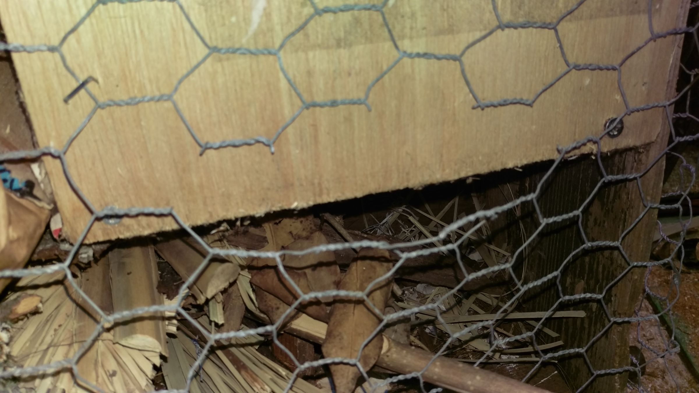 Bee Condo Insect Hotel : 9 Steps (with Pictures) - Instructables