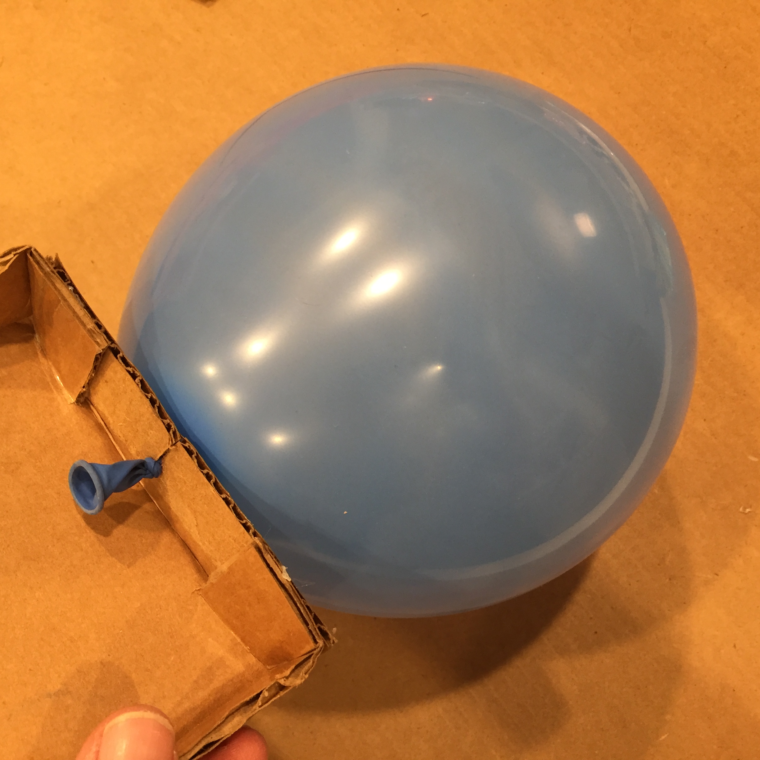 Battle Bots on a Budget : 5 Steps (with Pictures) - Instructables