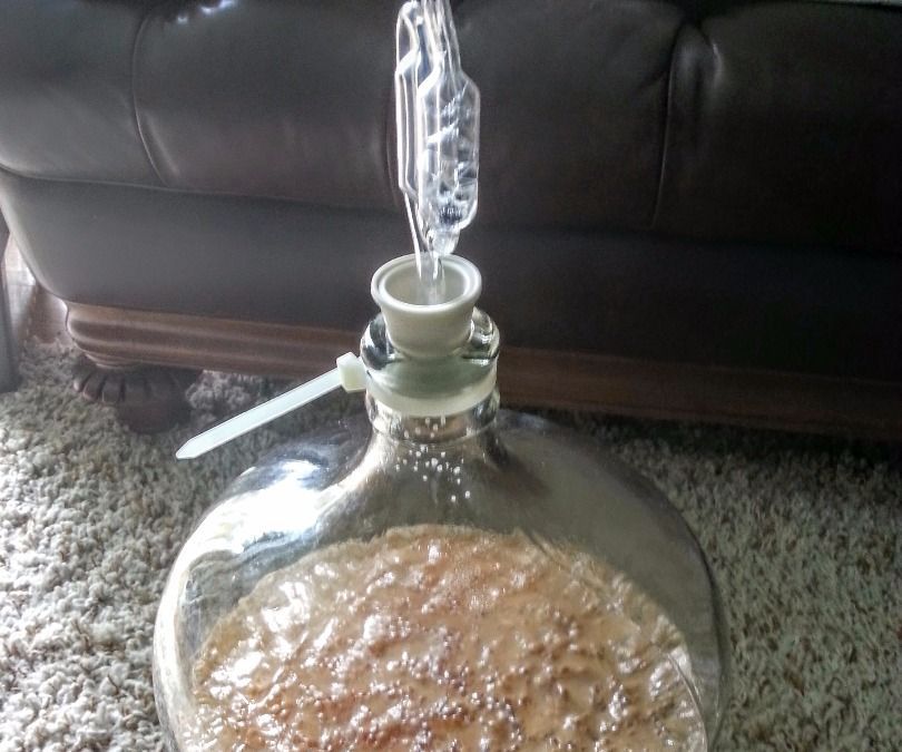 Alcoholic Ginger Beer : 4 Steps (with Pictures) - Instructables