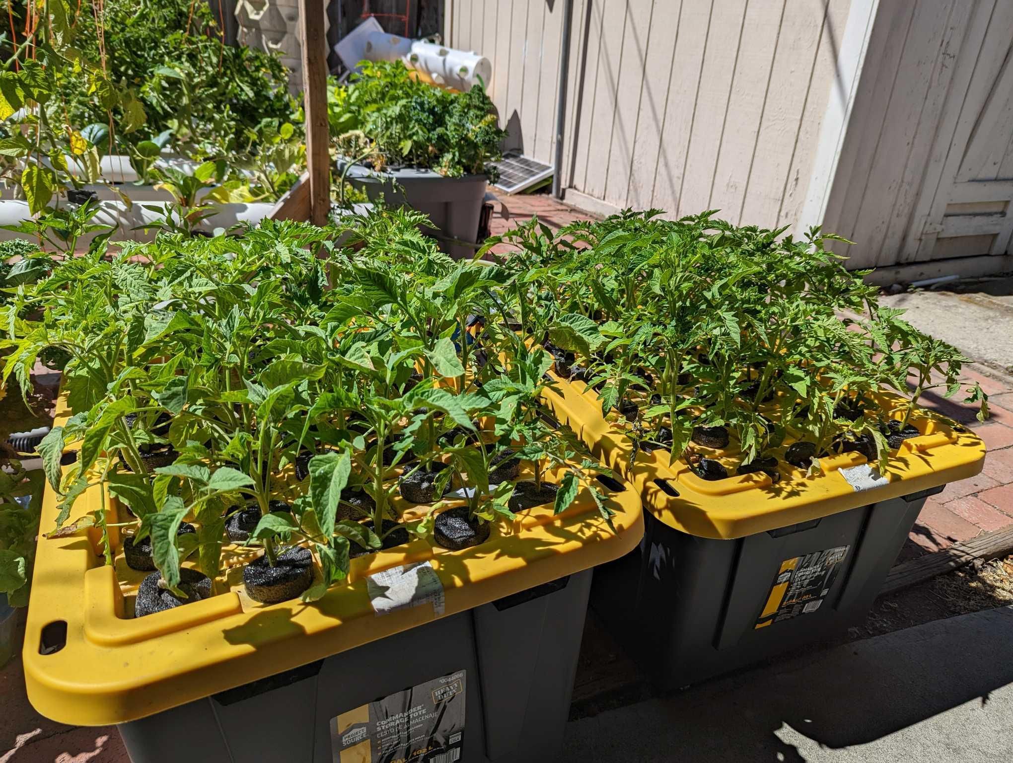 Home Built Hydroponics Growing System : 6 Steps (with Pictures ...